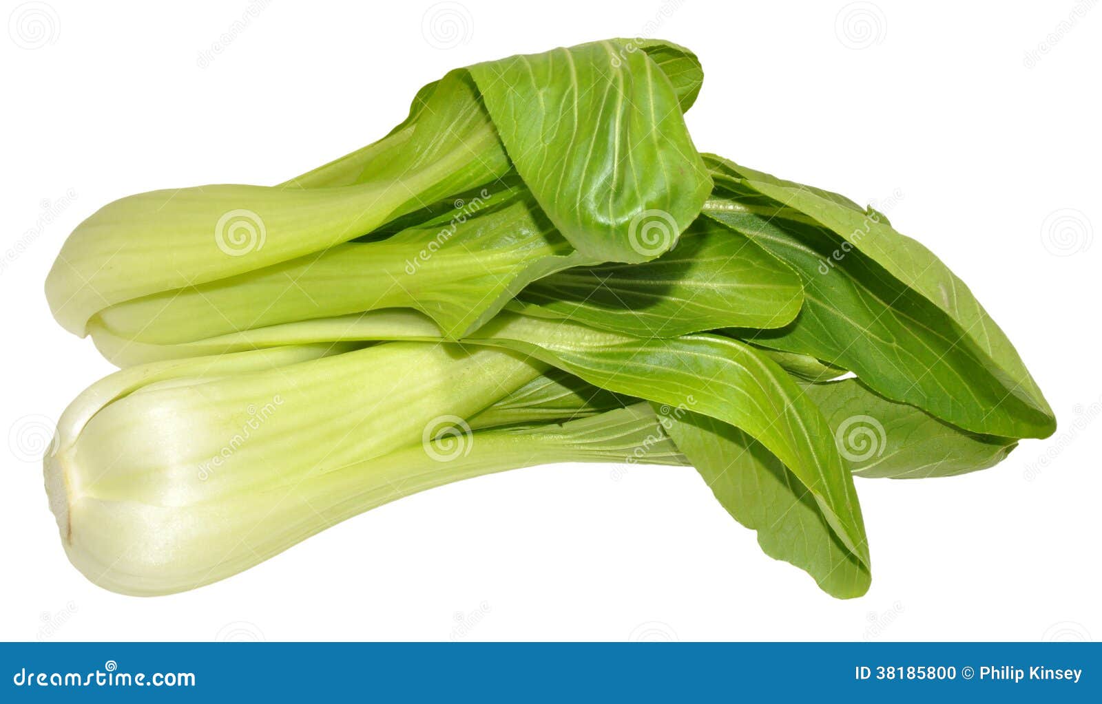 Pak Choi Chinese Cabbages stock photo. Image of oriental - 38185800