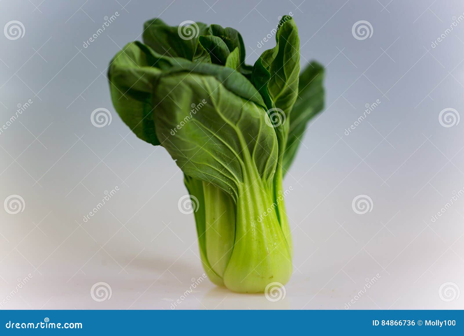 Pak Choi, Healthy, Vegetable Stock Photo - Image of closeup, vegetable ...