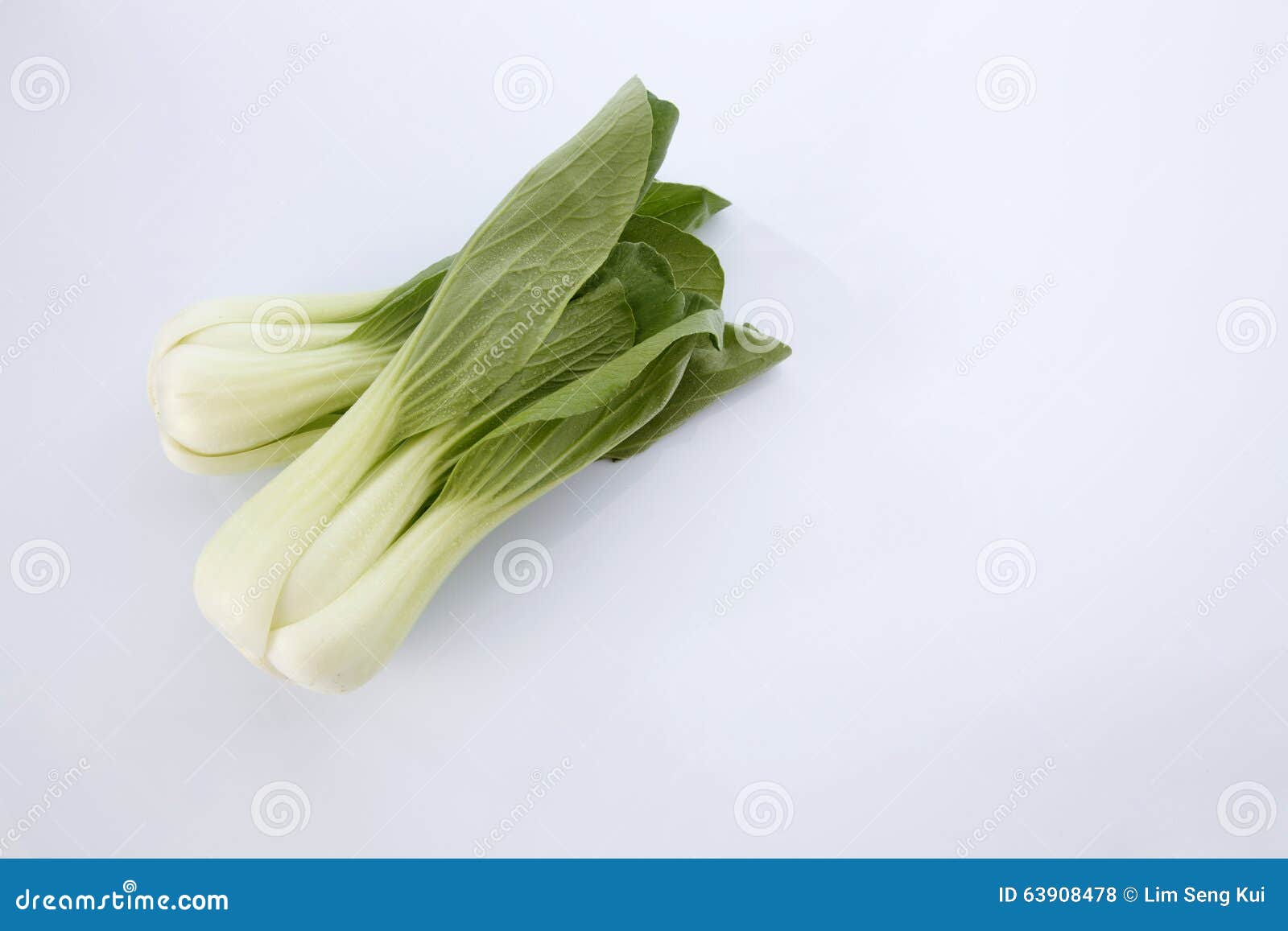Pak choy stock photo. Image of meal, choy, cabbage, organic - 63908478