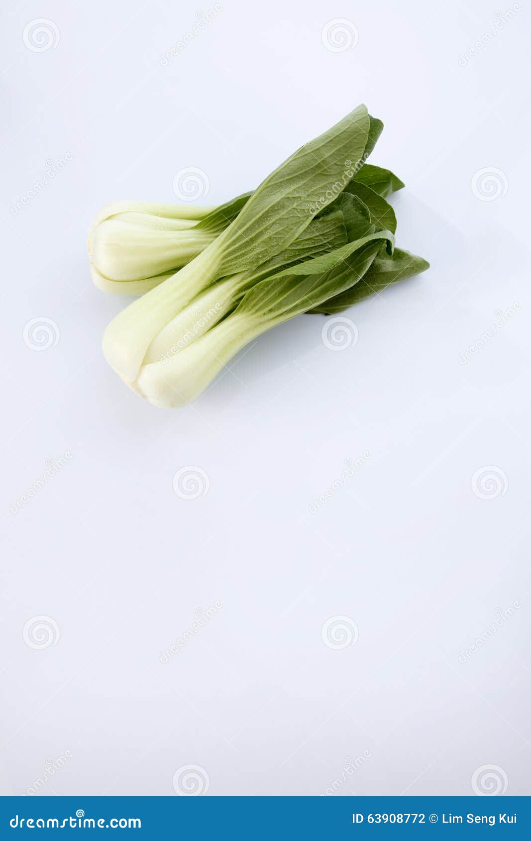 Pak choy stock photo. Image of chinese, freshness, leaf - 63908772