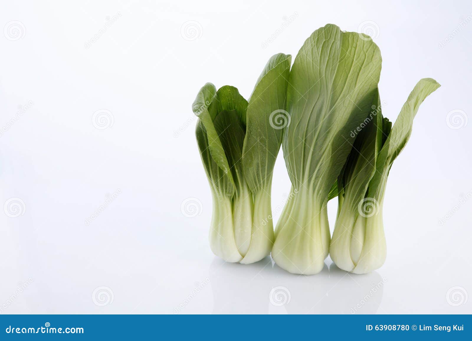 Pak choy stock photo. Image of diet, meal, kitchen, freshness - 63908780