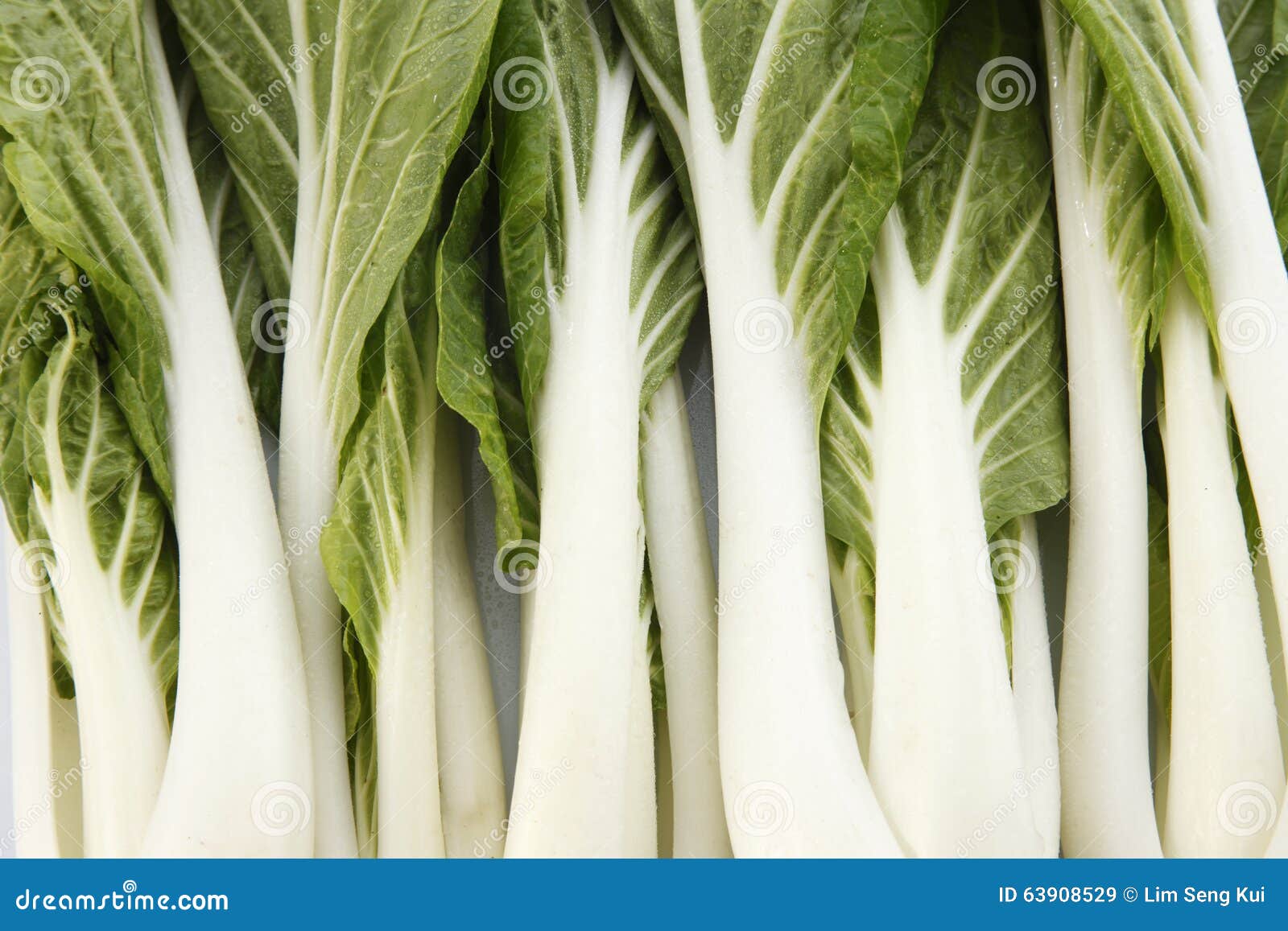 Pak choy stock image. Image of background, choy, nutritious - 63908529