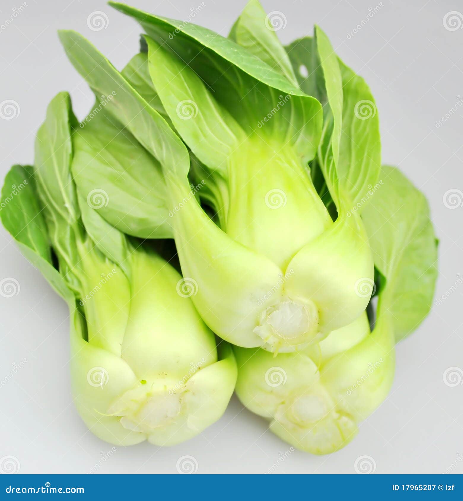 Pakchoi stock image. Image of leafy, isolated, food, healthy - 17965207