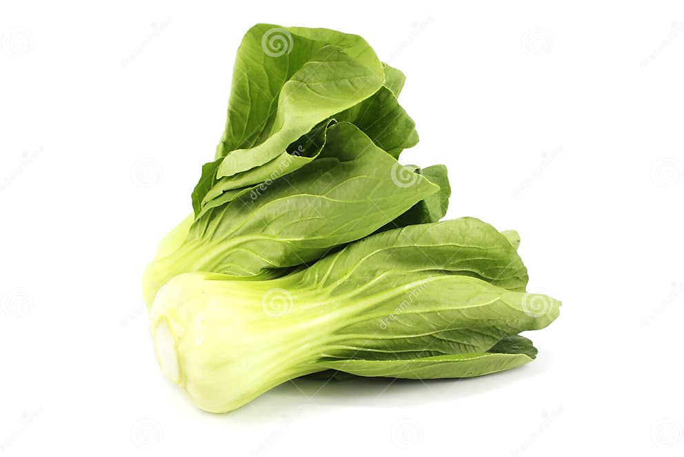 Pakchoi cabbage stock image. Image of delicious, bokchoi - 42123227