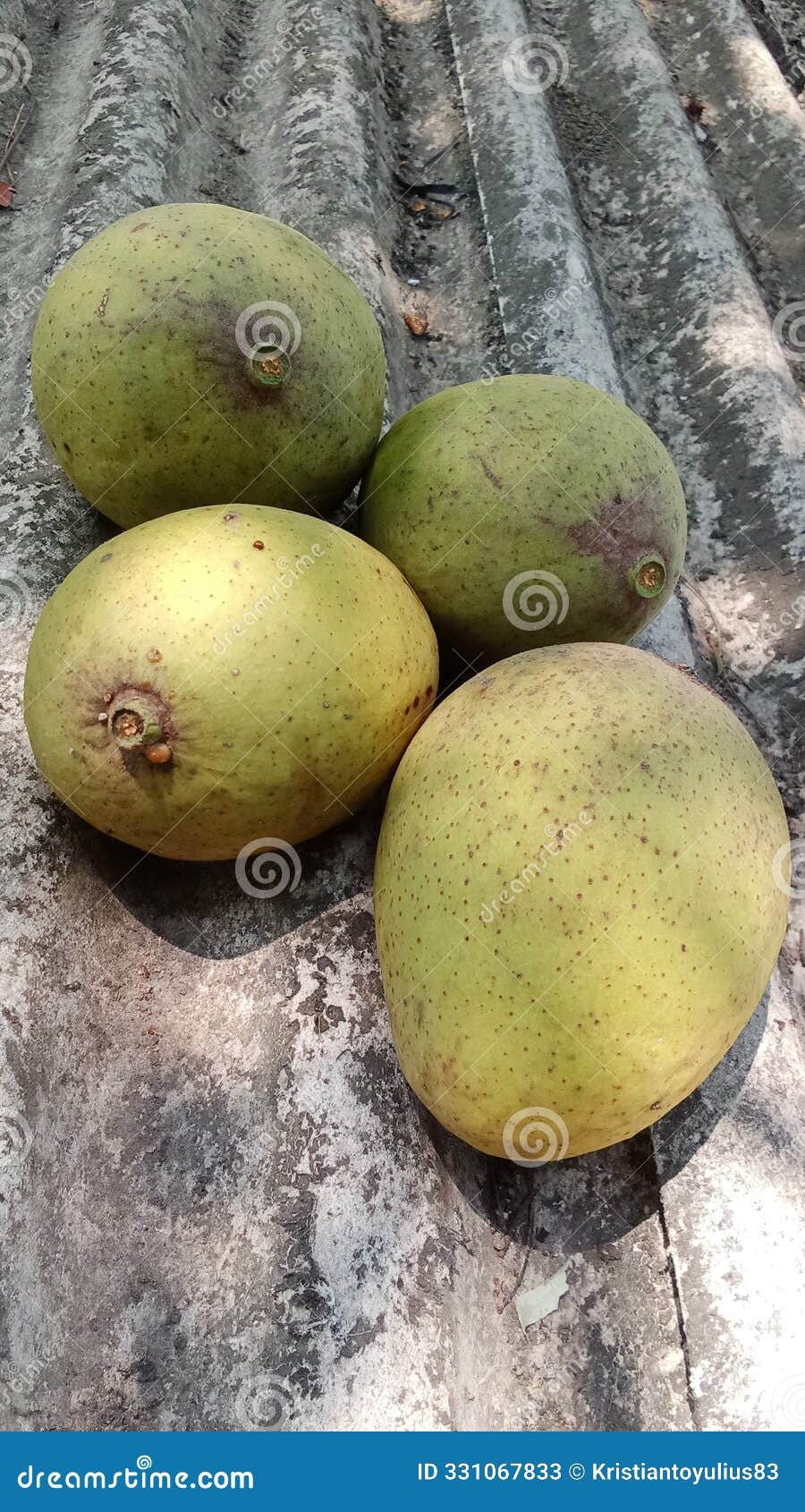 Pakel mango fruit stock image. Image of fruit, buah - 331067833