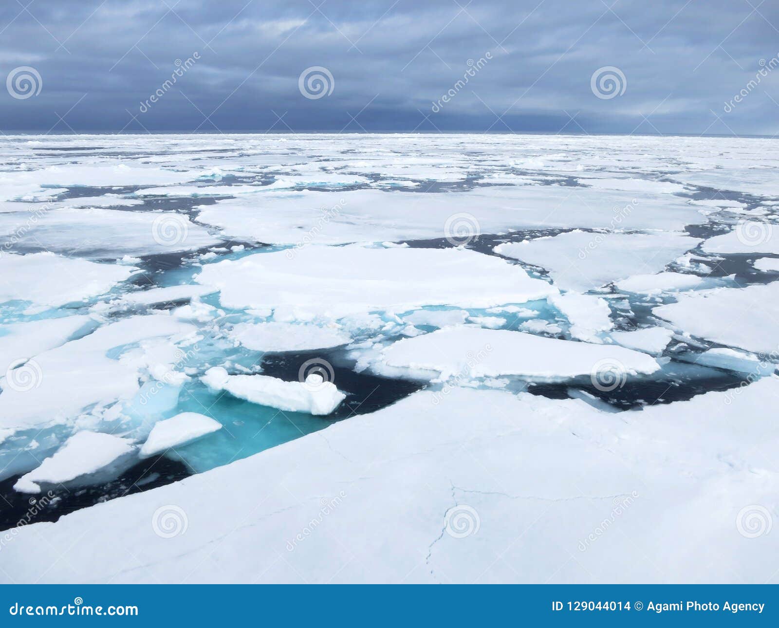 Pakijs, Spitsbergen; Pack Ice, Svalbard Stock Photo - Image of icesheet ...