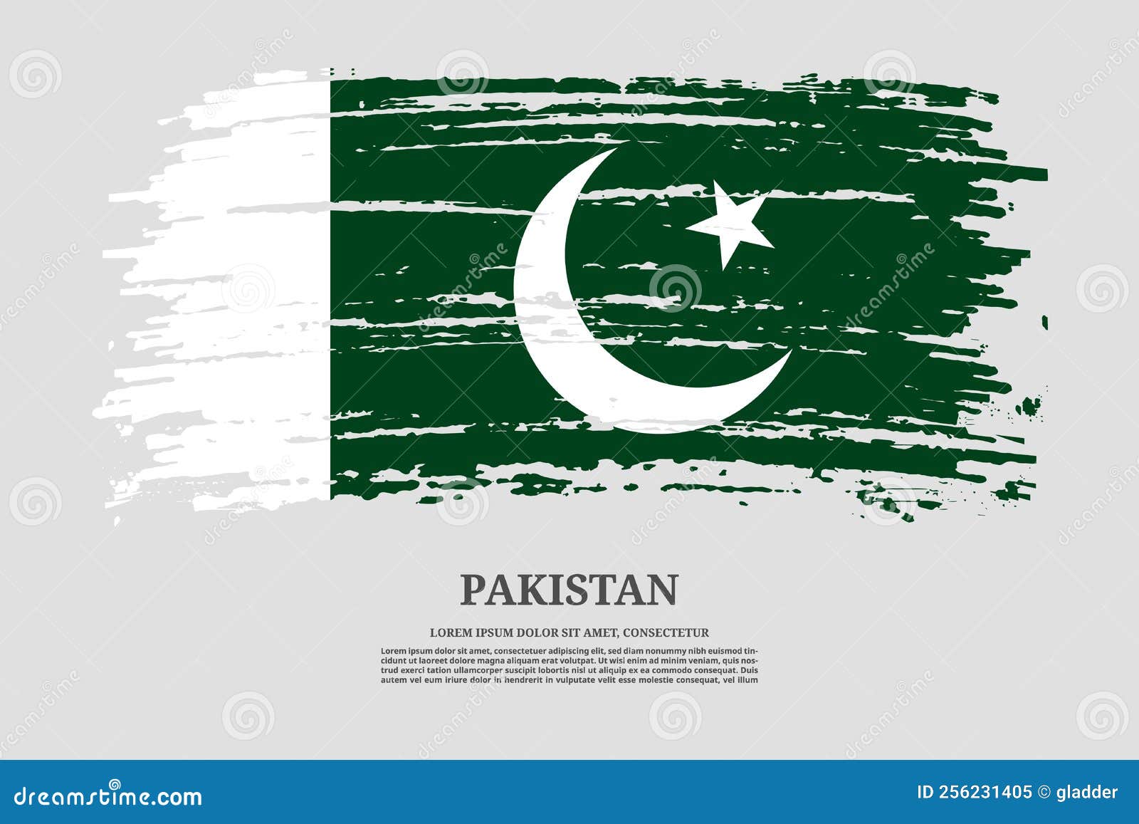 Pakistan Information Map. Vector Illustration | CartoonDealer.com #96664620