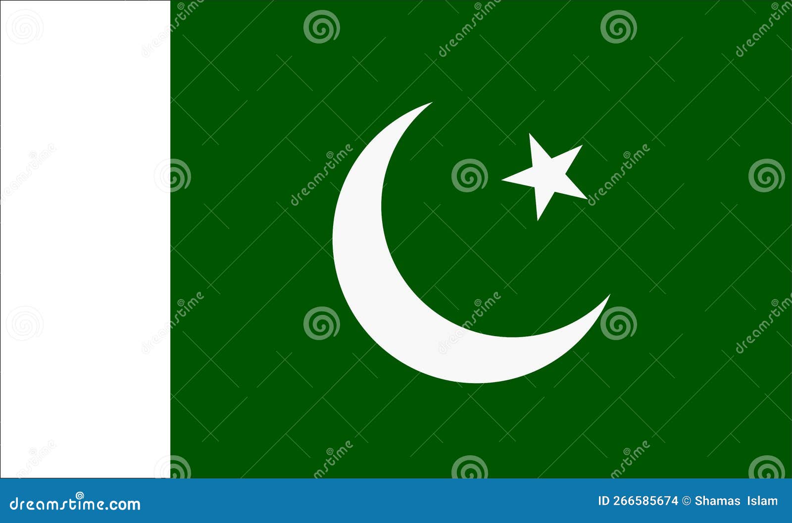 Pakistan Flag Design Vector Stock Vector - Illustration of south ...