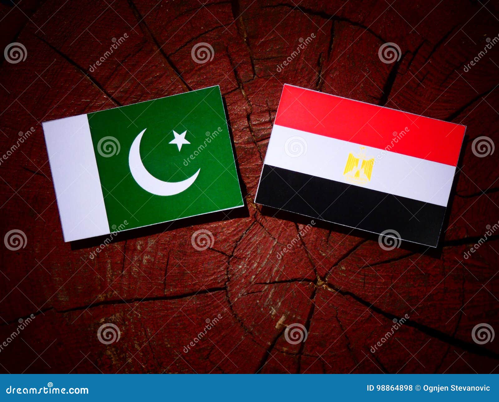 Pakistan Flag with Egyptian Flag on a Tree Stump Stock Photo - Image of ...