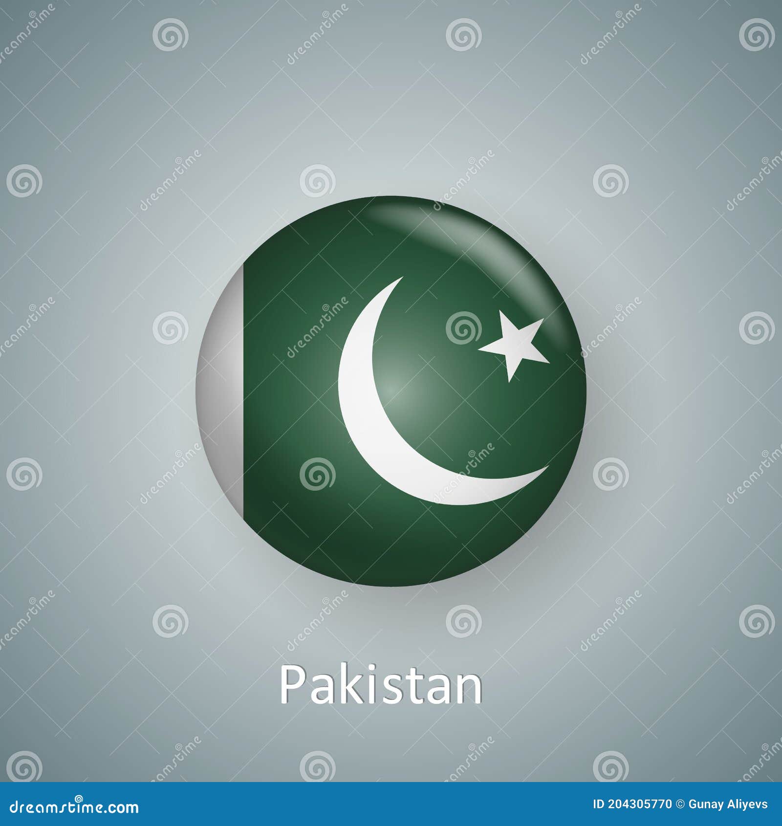 Pakistan Flag Circle Stock Illustrations – 445 Pakistan Flag Circle ...