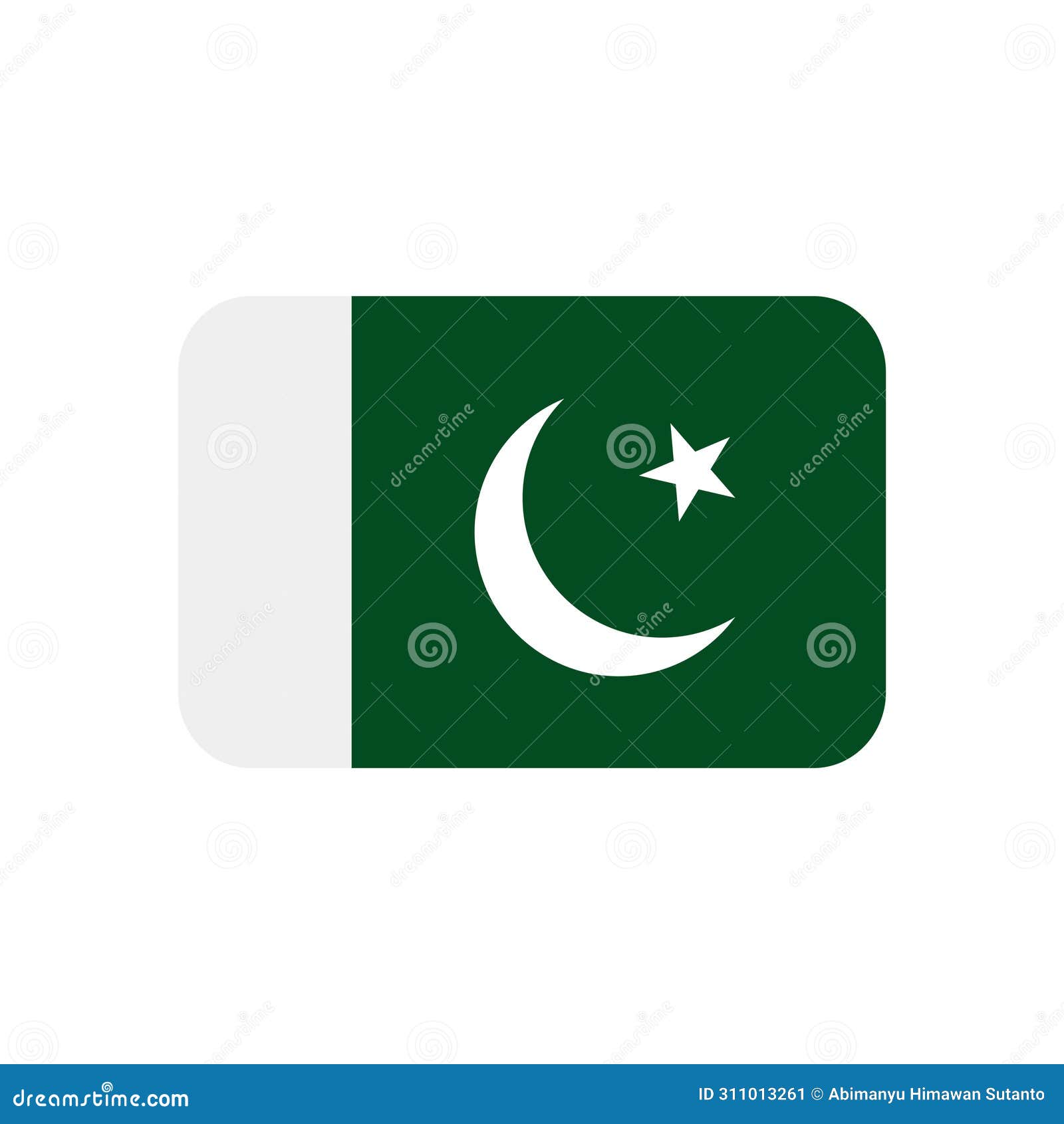 Pakistan flag icon vector stock vector. Illustration of isolated ...