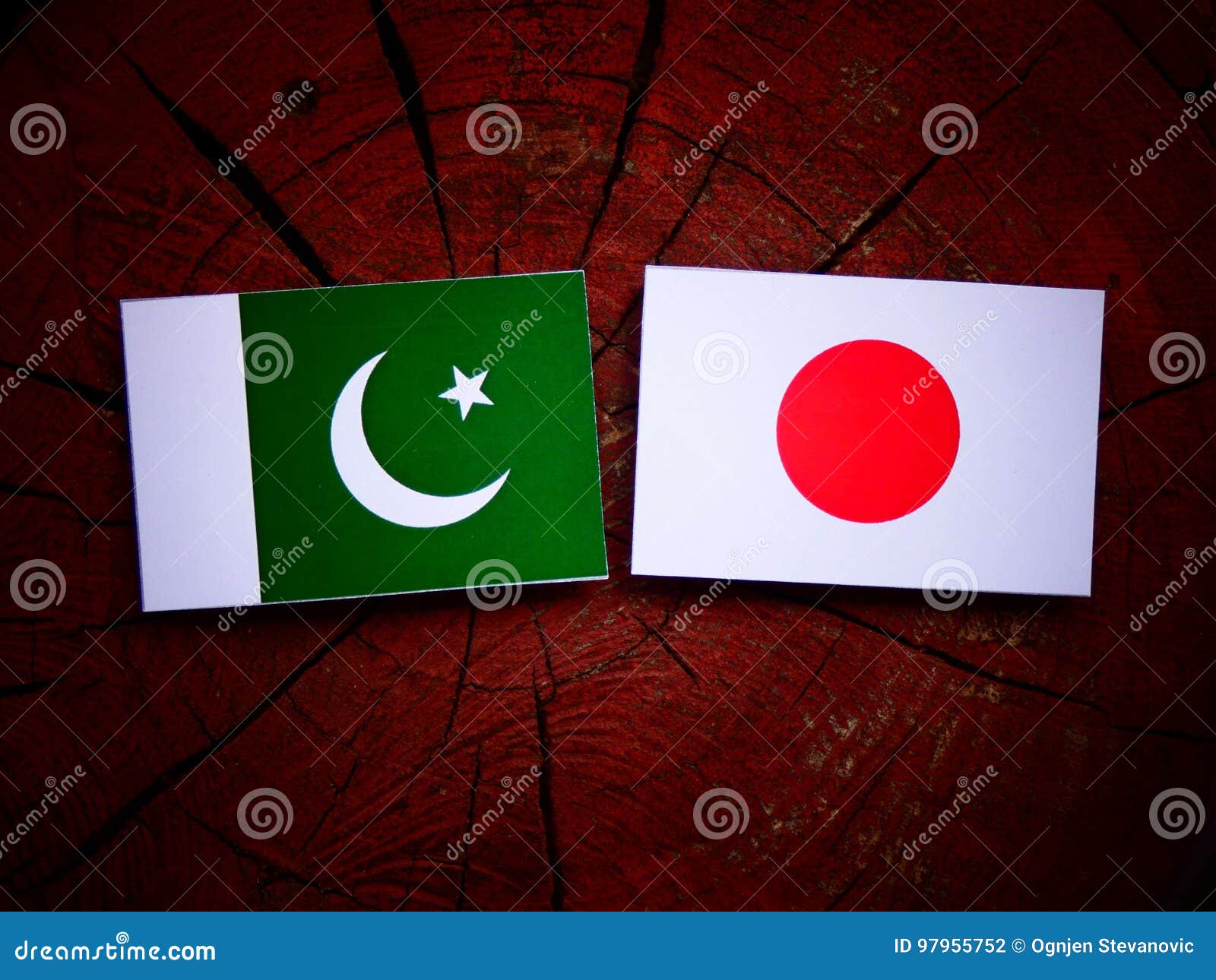 Pakistan Flag with Japanese Flag on a Tree Stump Isolated Stock Photo ...