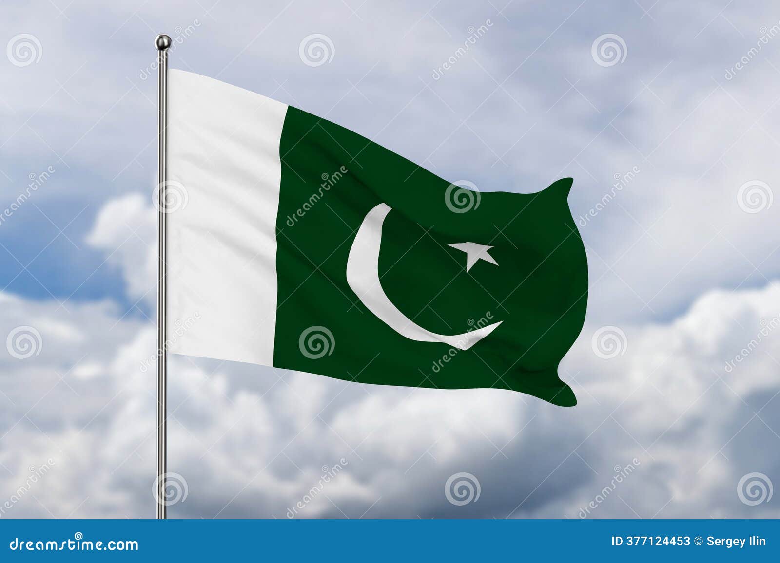 Pakistan Flag Set. Isolated Pakistan Flag On White Background Vector ...