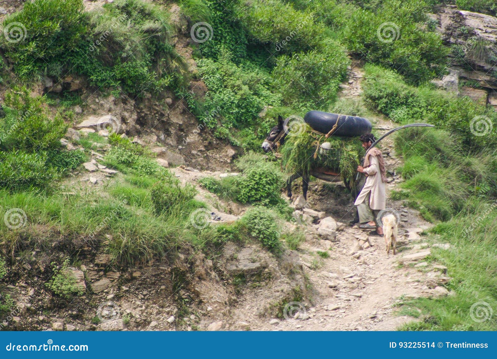 Pakistan Life and Countryside Editorial Stock Image - Image of military ...