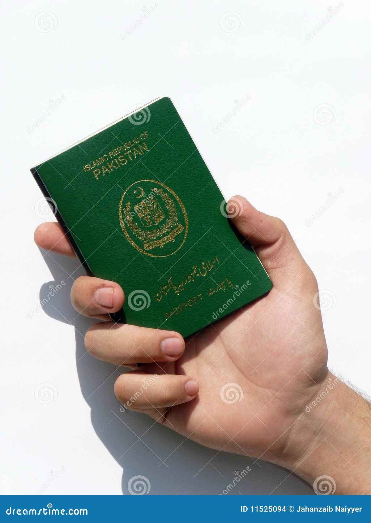 Pakistan pass arkivfoto. Bild av data, pakistan, fluga - 11525094