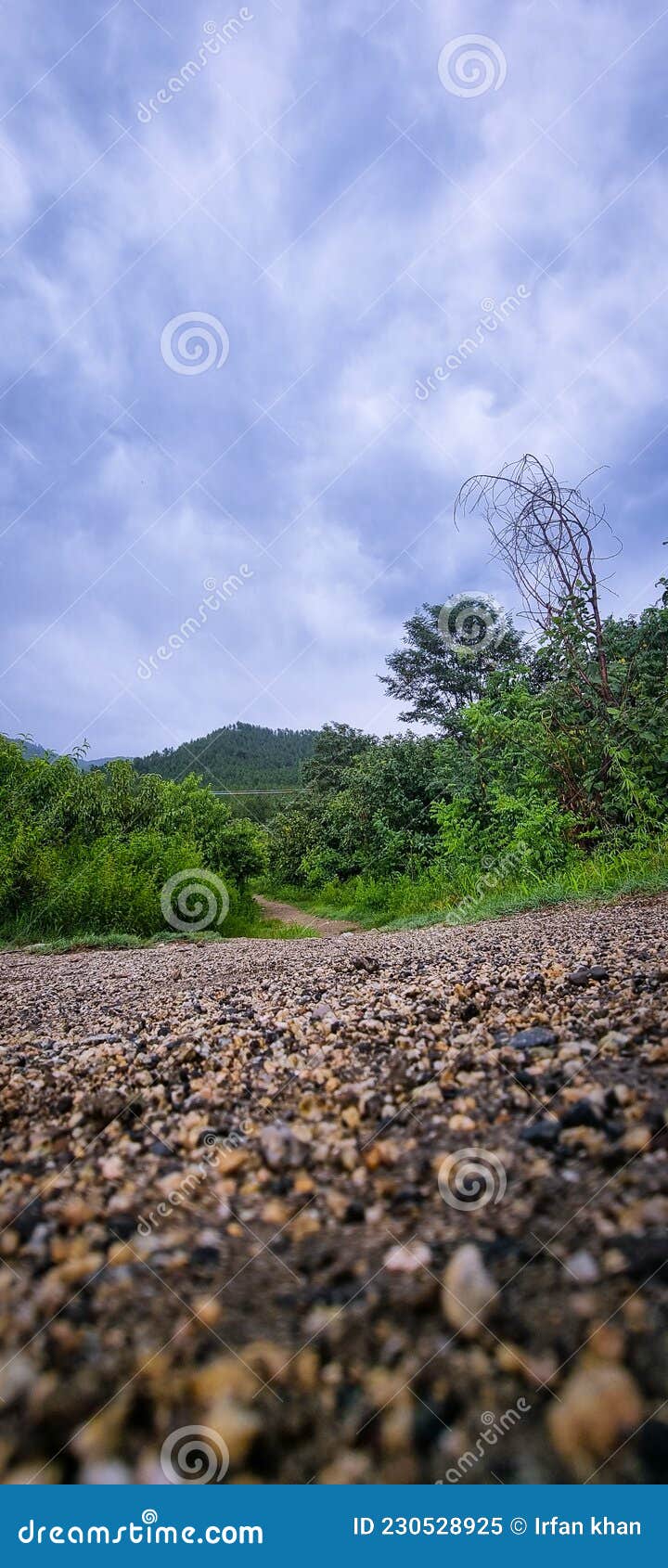 Pakistan swat greenery stock image. Image of greenery - 230528925