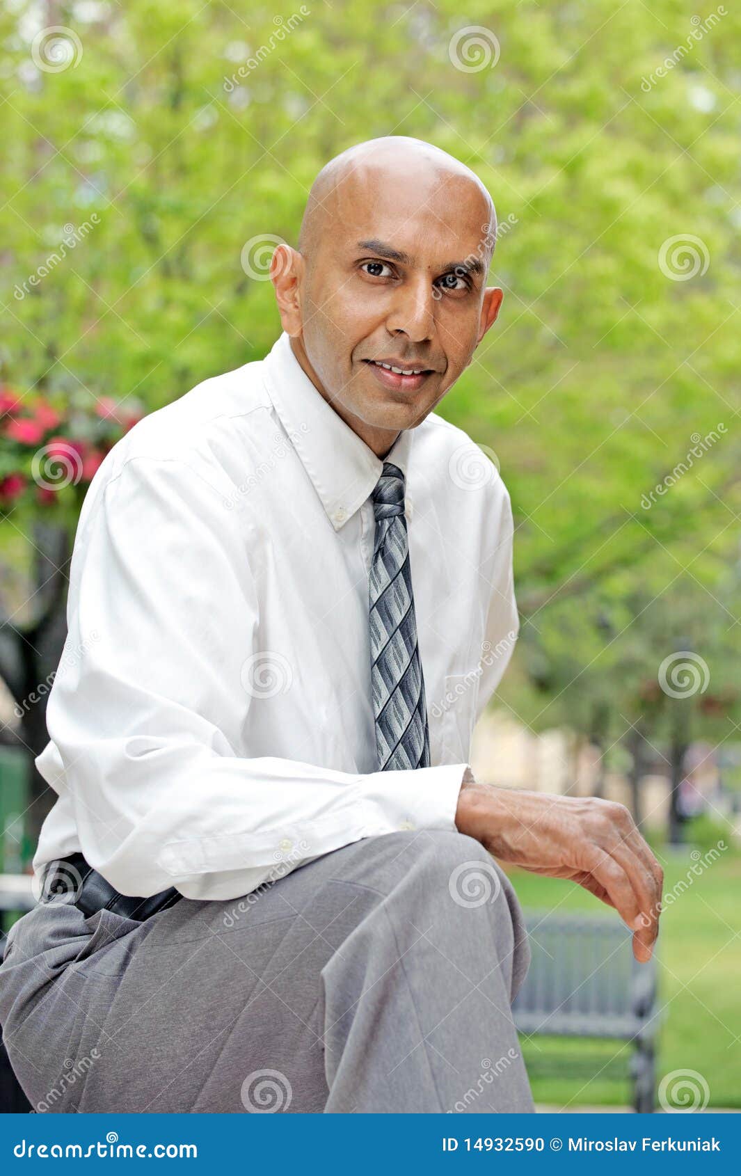 Pakistani Business Man stock photo. Image of professional - 14932590