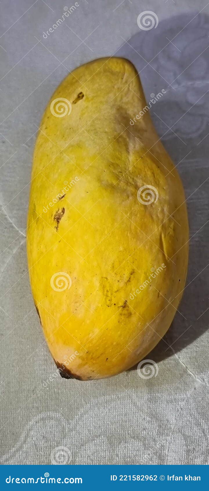 Pakistani Mango stock photo. Image of testy, wonderful - 221582962