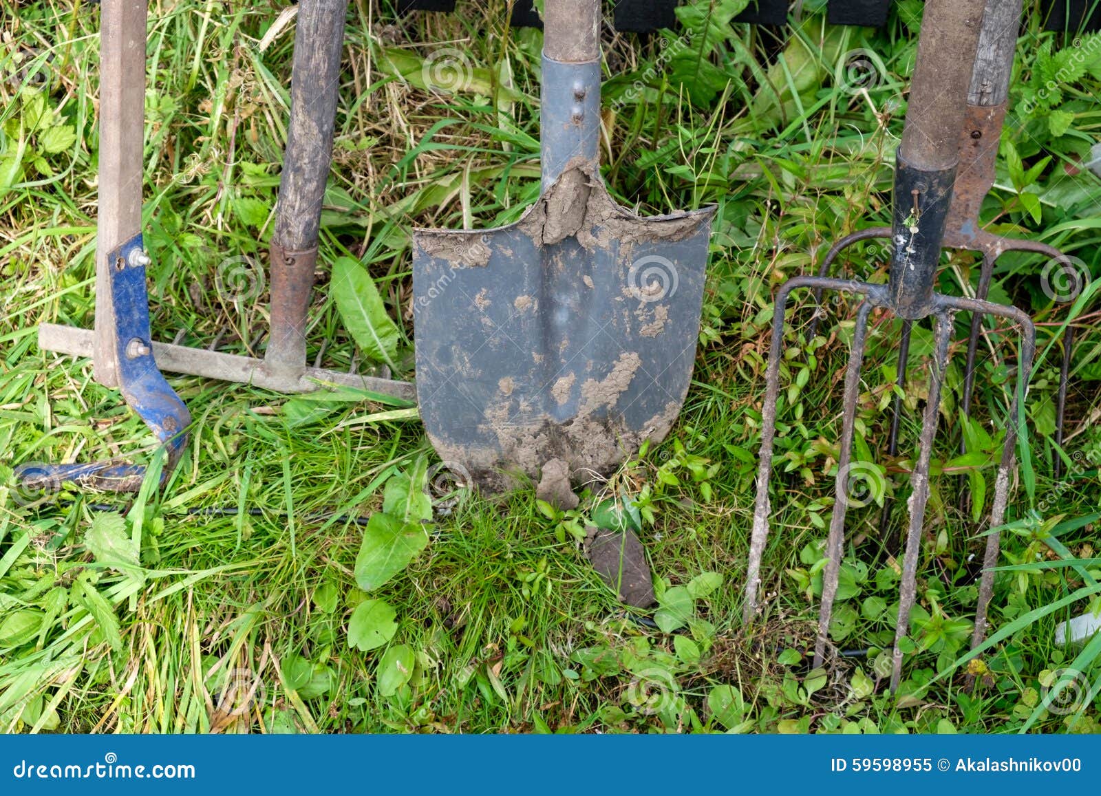 Pala y bieldo imagen de archivo. Imagen de modelo, hermoso - 59598955