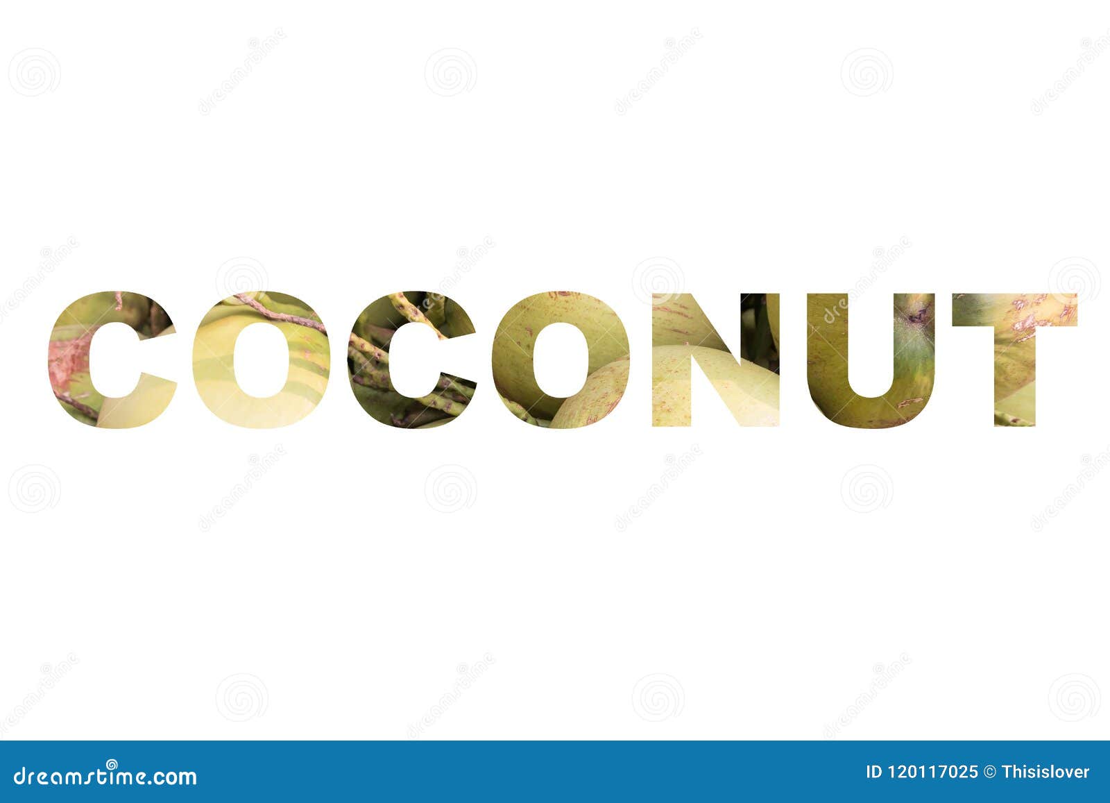 Palabra del coco, texto stock de ilustración. Ilustración de fondo ...