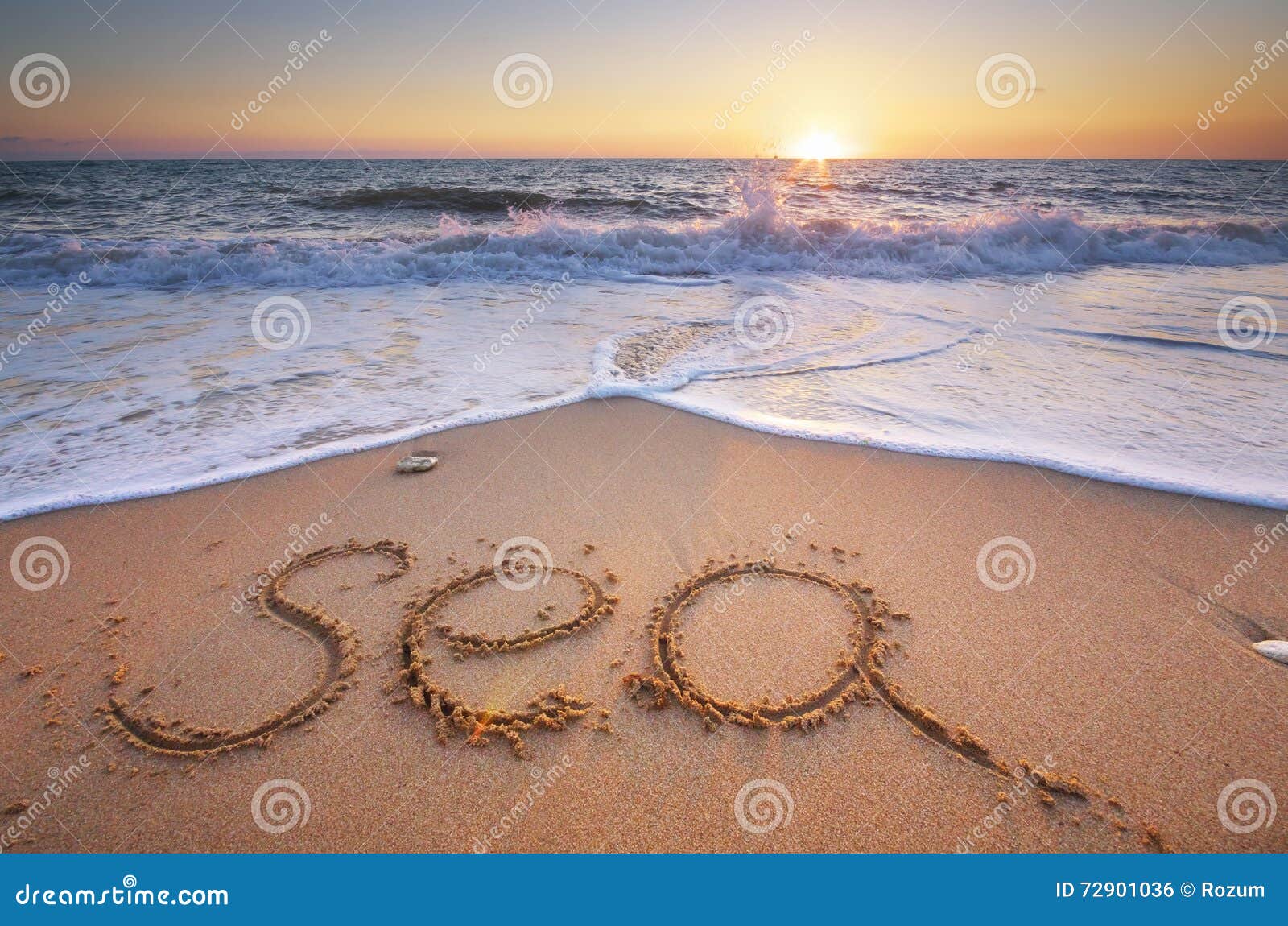 Palabra Del Mar En La Playa Foto de archivo - Imagen de texto, océano ...