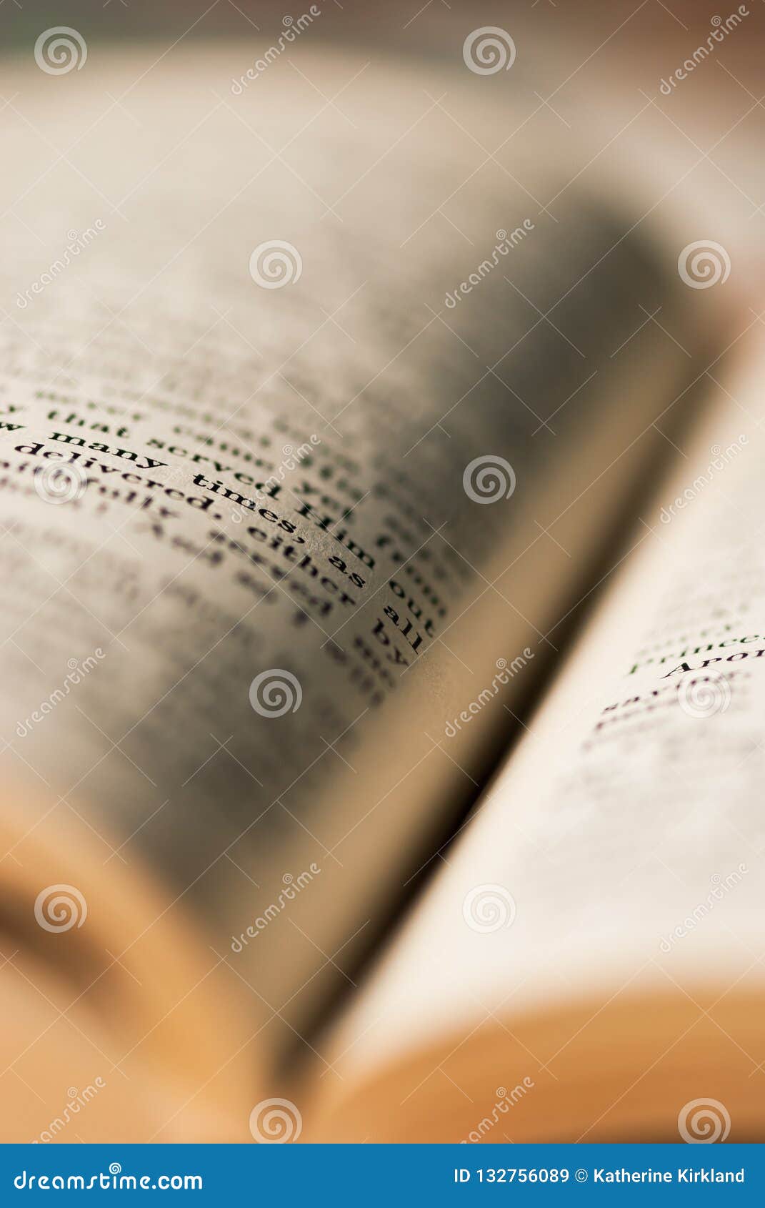 Palabras en un libro imagen de archivo. Imagen de aislado - 132756089