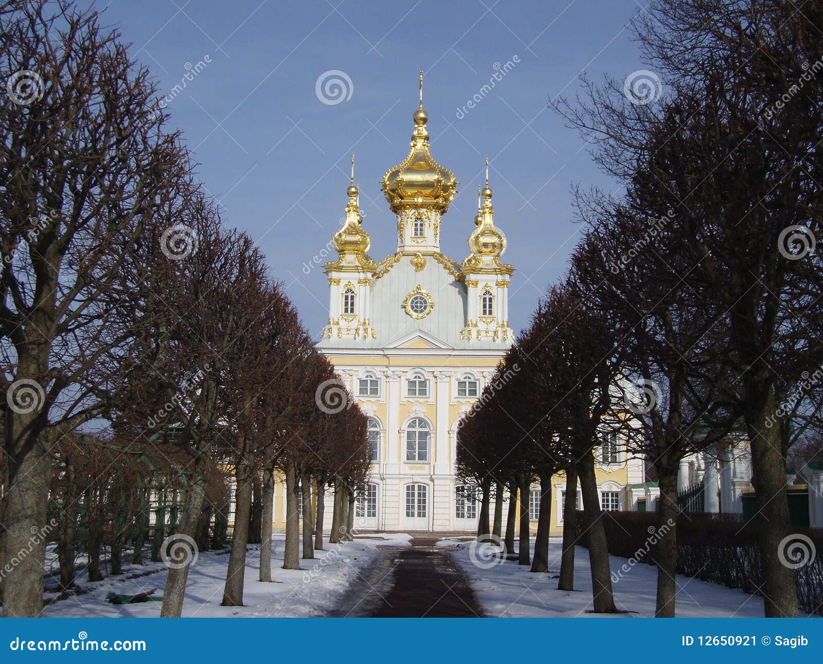 Palace in the Petergof stock image. Image of park, palace - 12650921