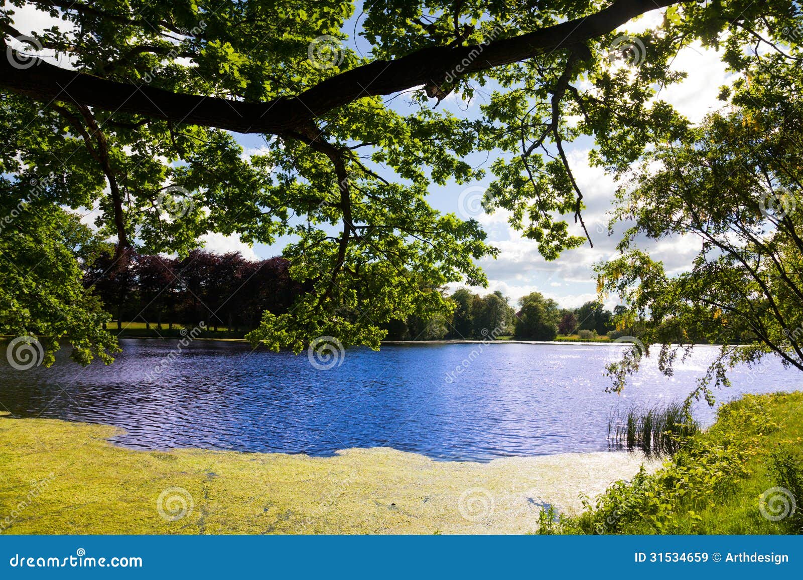 Palace pond Machern stock image. Image of foliage, waters - 31534659