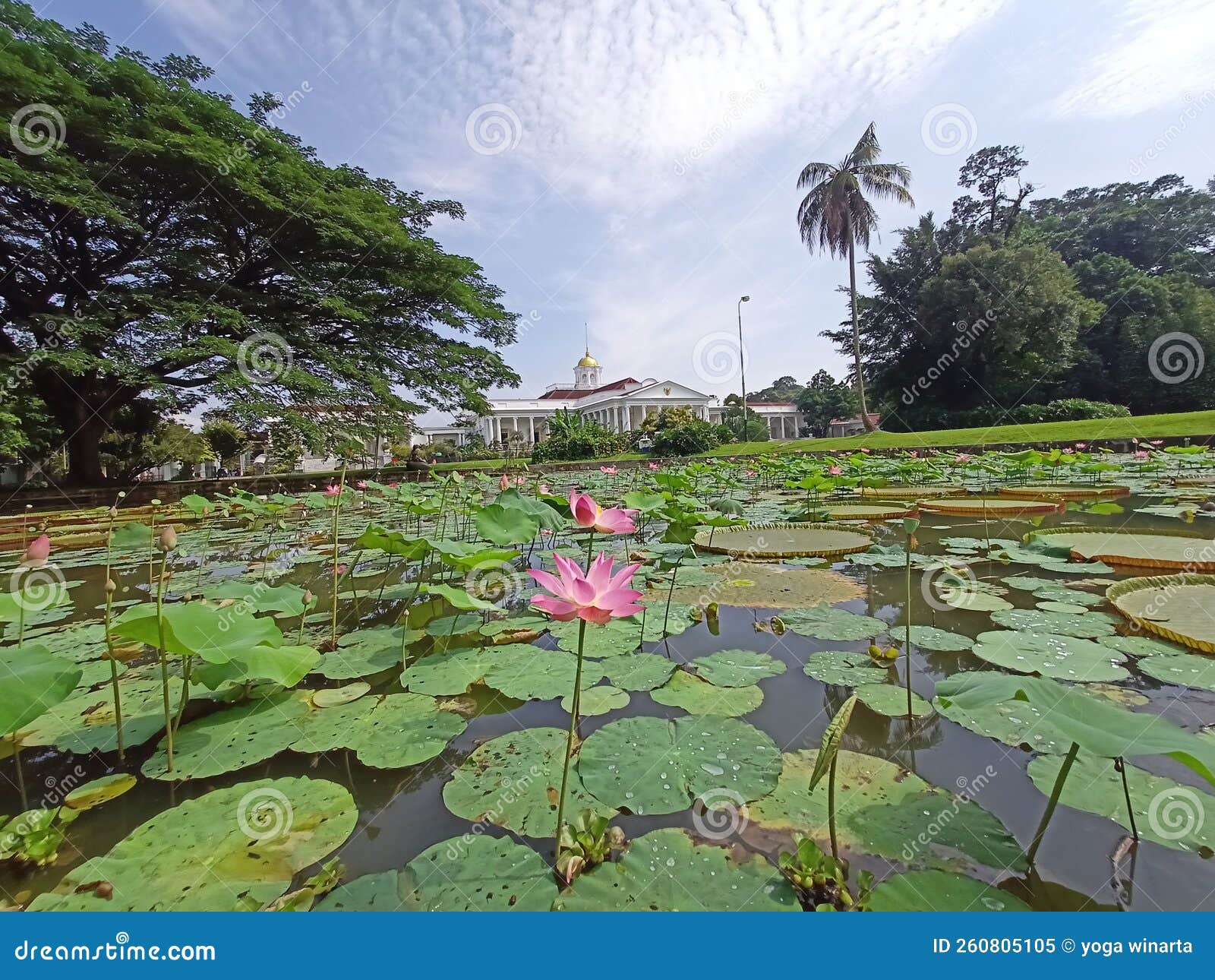 Palacio Blanco En Medio Del Verde Imagen de archivo - Imagen de blanco ...