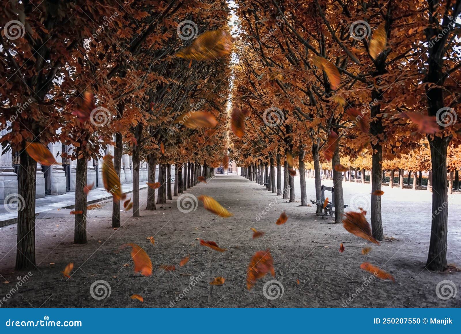 Leaves Falling in the Park in Paris Stock Photo - Image of europe ...