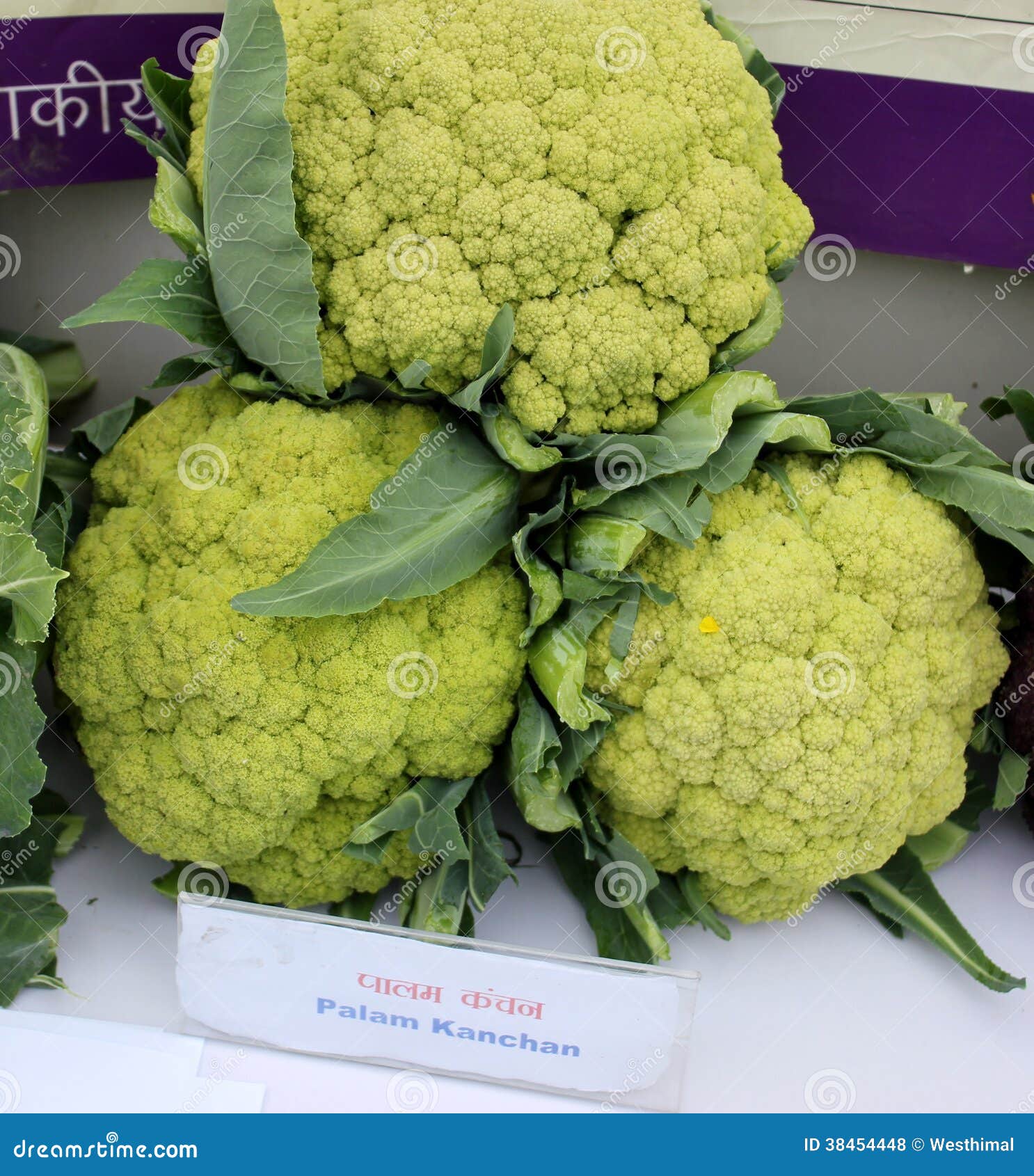 Palam Kanchan stock photo. Image of bluish, vitamin, yellowish - 38454448