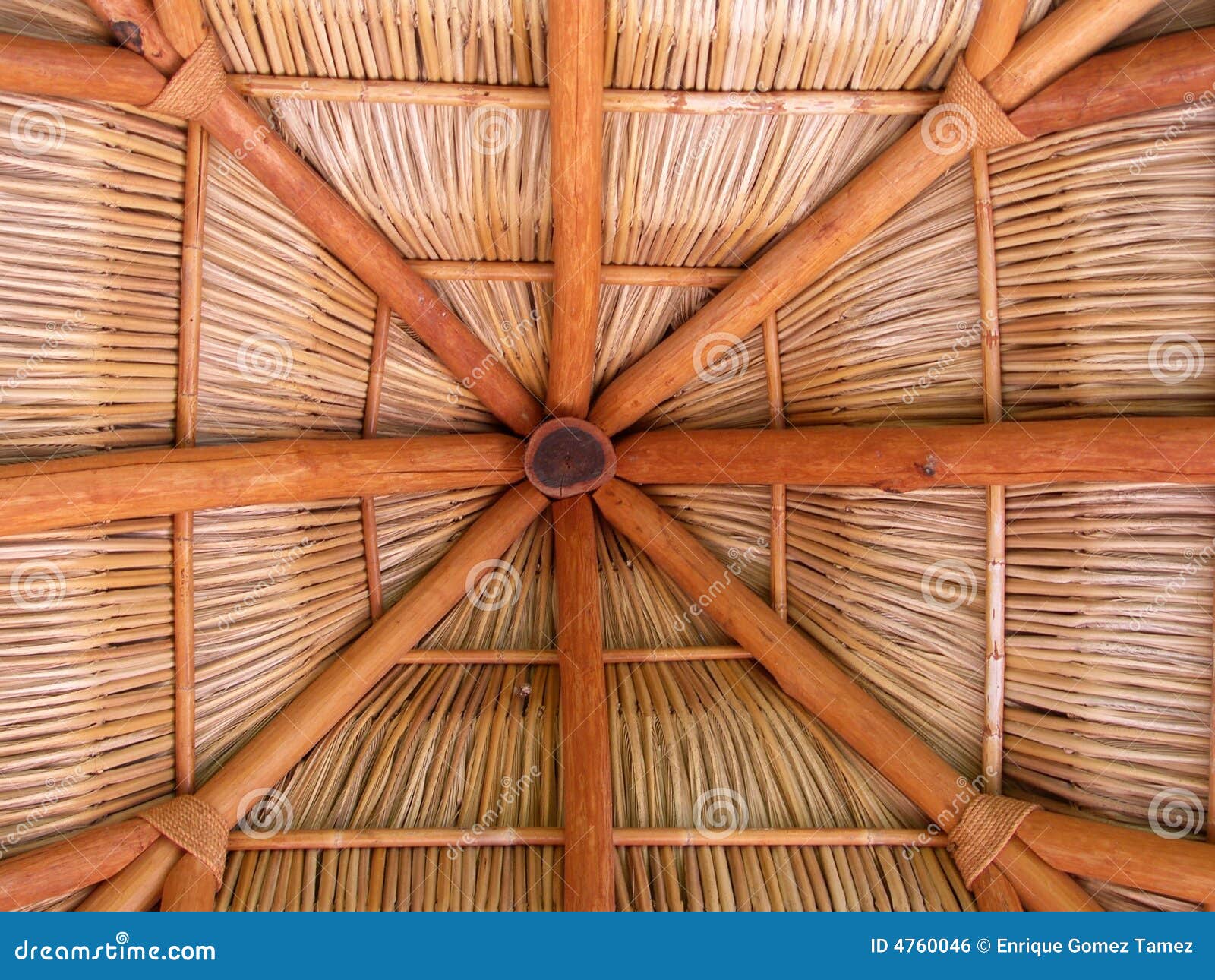 Palapa Roof stock photo. Image of construction, mexican - 4760046