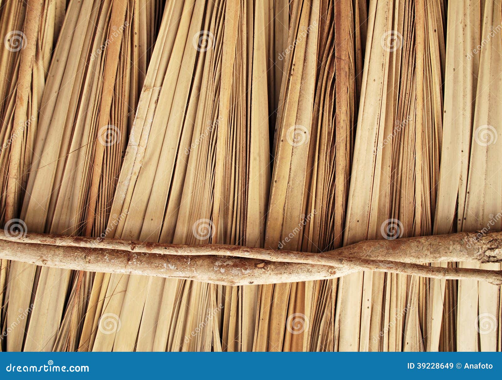 Palapa Texture Stock Photography | CartoonDealer.com #30877982