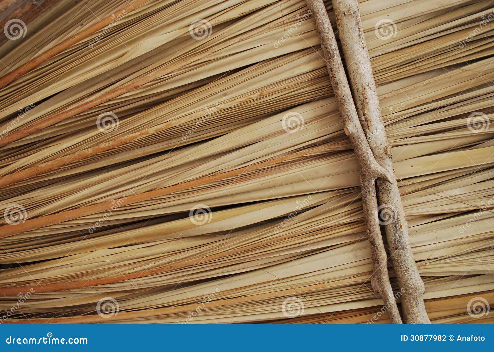 Palapa Texture Stock Photography | CartoonDealer.com #30877982