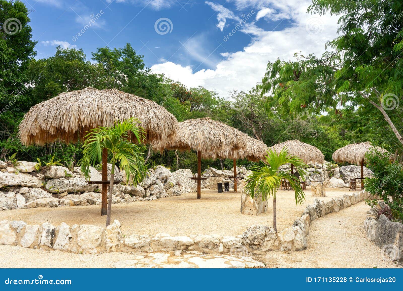 Palapas in the jungle stock photo. Image of nature, resort - 171135228