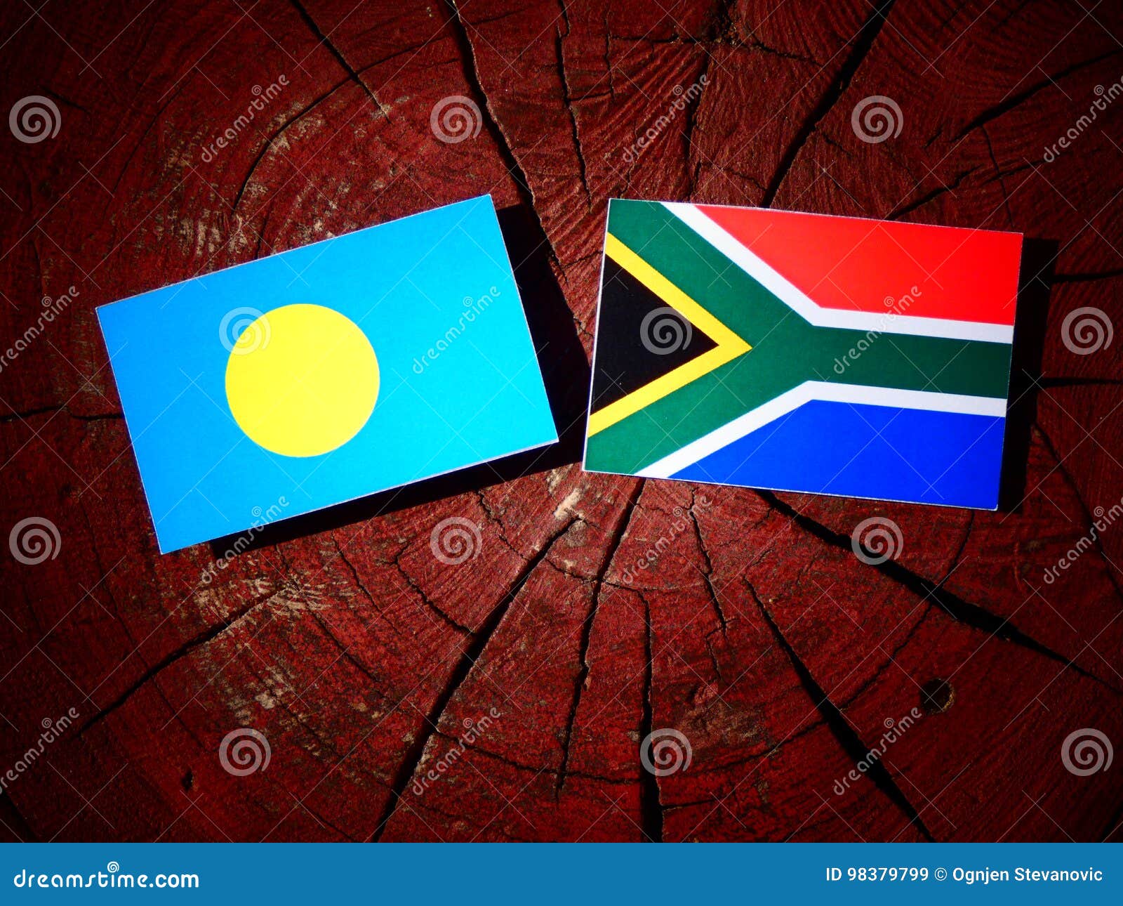 Palau Flag with South African Flag on a Tree Stump Isolated Stock Image ...