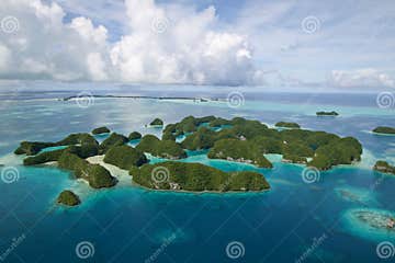 Palau top view stock image. Image of pacific, bird, sand - 22294869