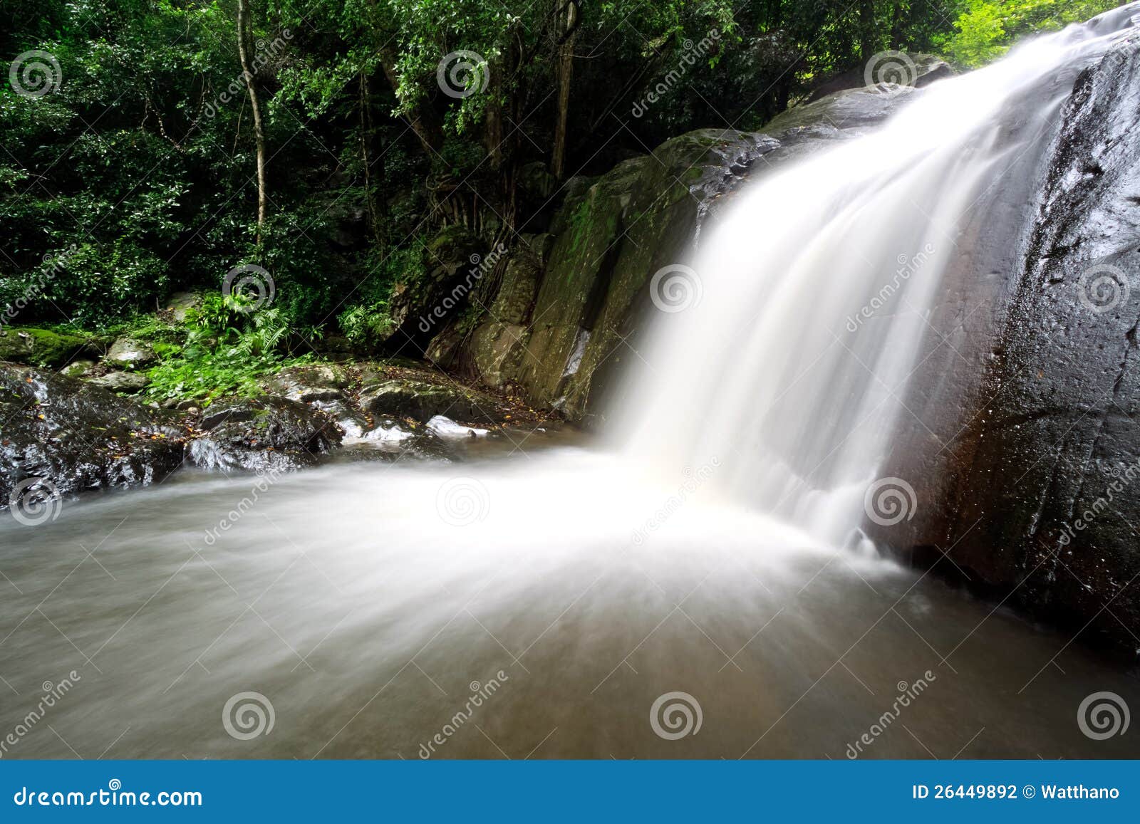PaLaU Waterfall in the National Park Stock Photo - Image of fresh ...