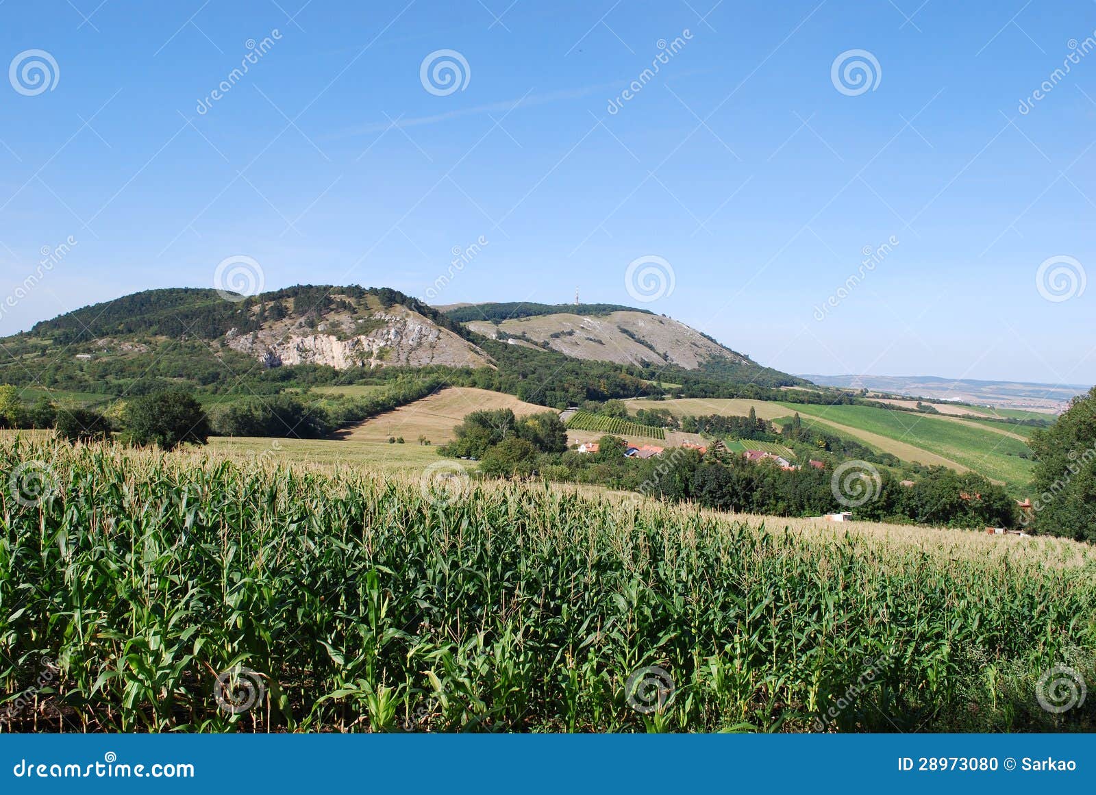 Palava, Czech republic, stock photo. Image of landscape - 28973080