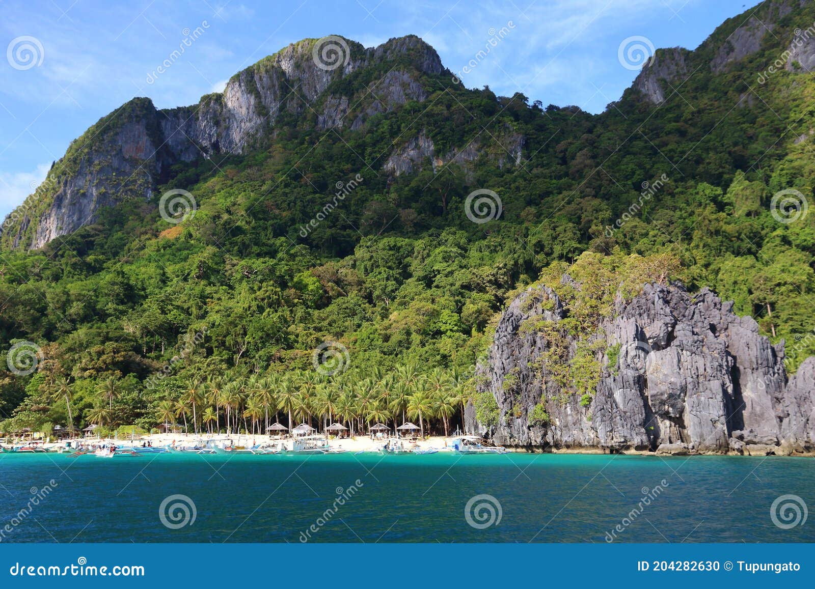 Palawan Island landscape stock photo. Image of water - 204282630
