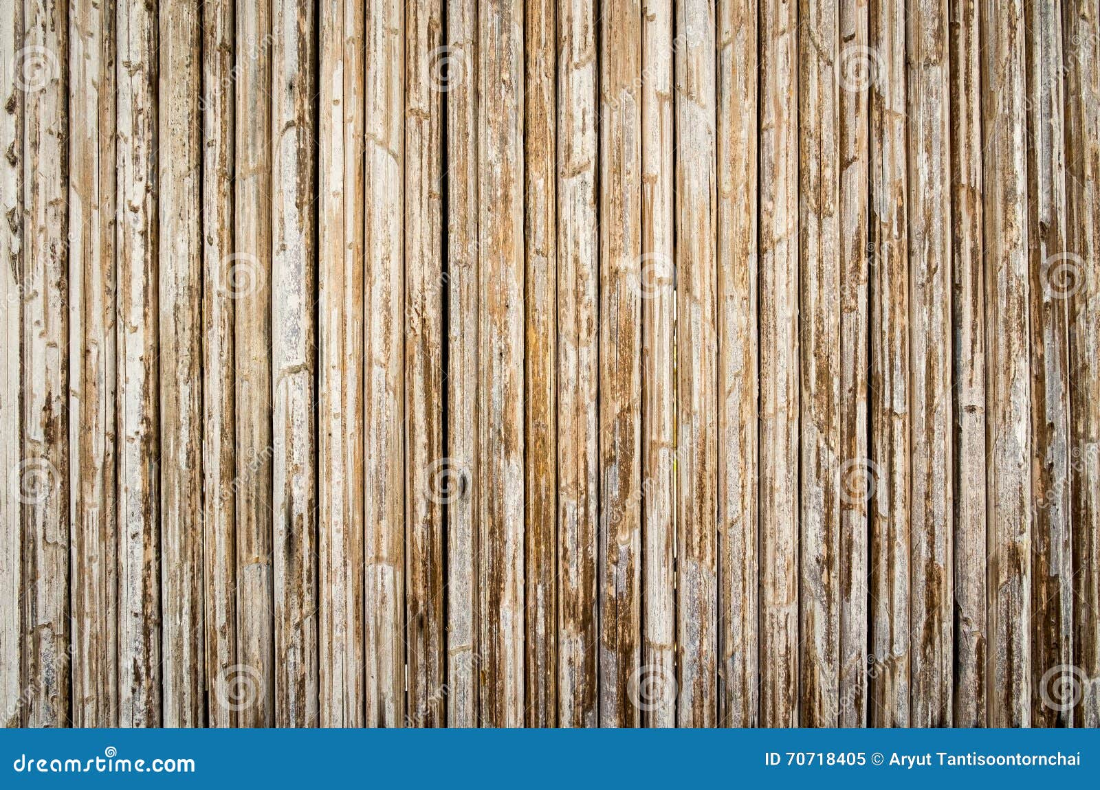Pale Bamboo Fence Photos - Free & Royalty-Free Stock Photos from Dreamstime