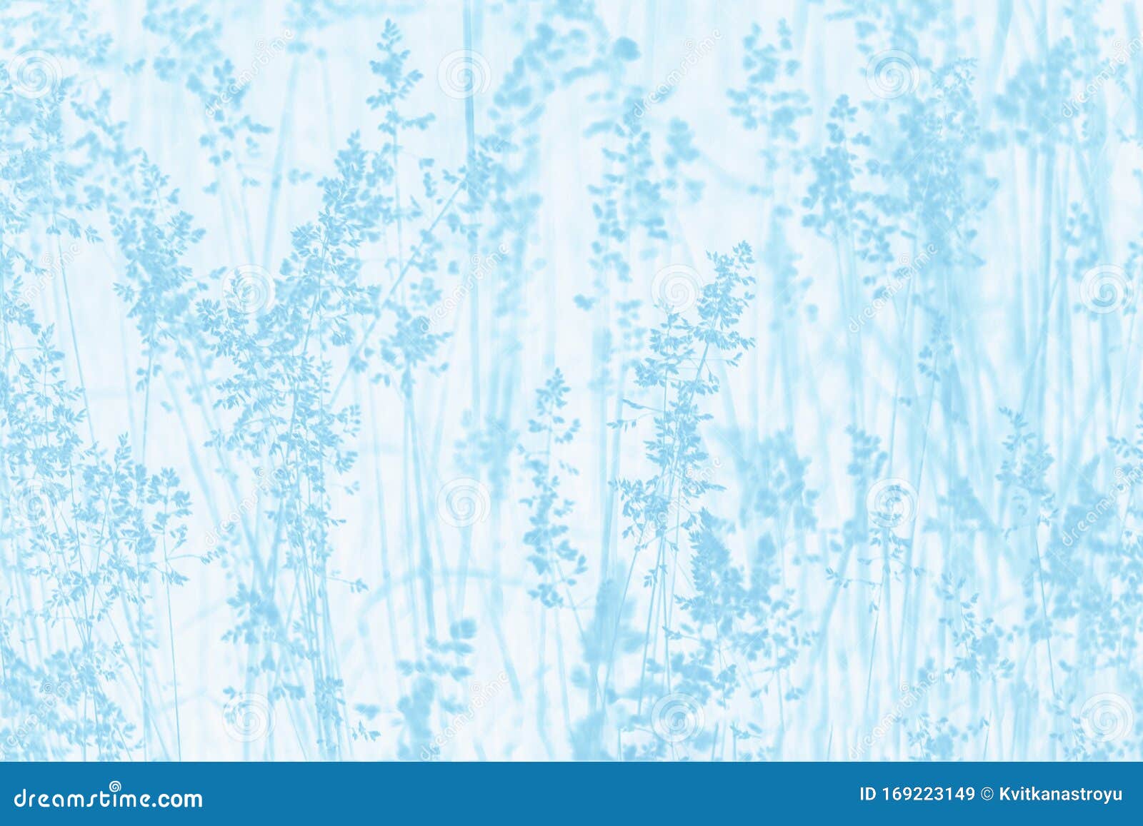 Pale Blue White Abstract Background with Plant Pattern Stock Image ...