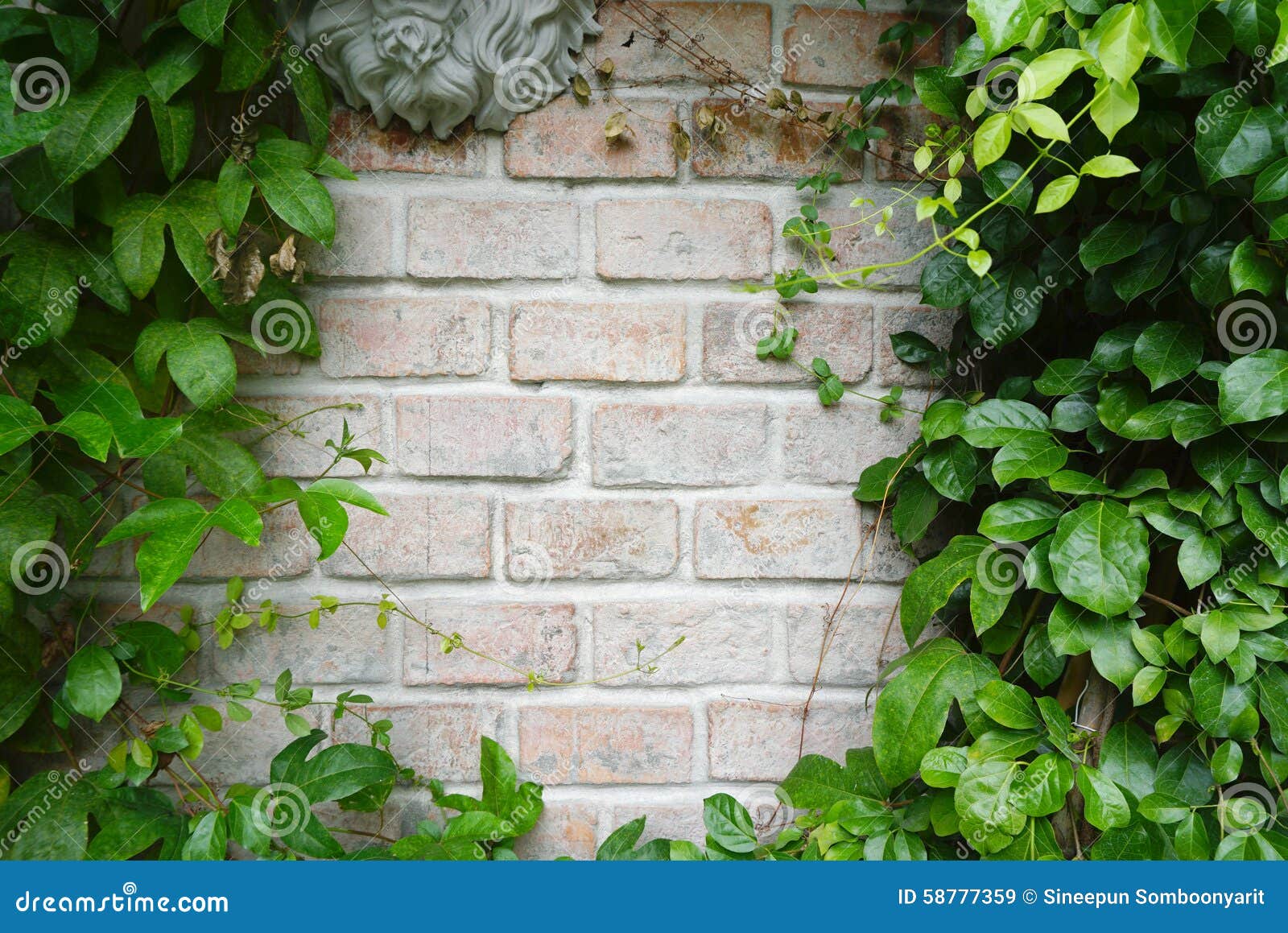 Pale Brick Wall with Green Leaves Border Stock Image - Image of wall ...