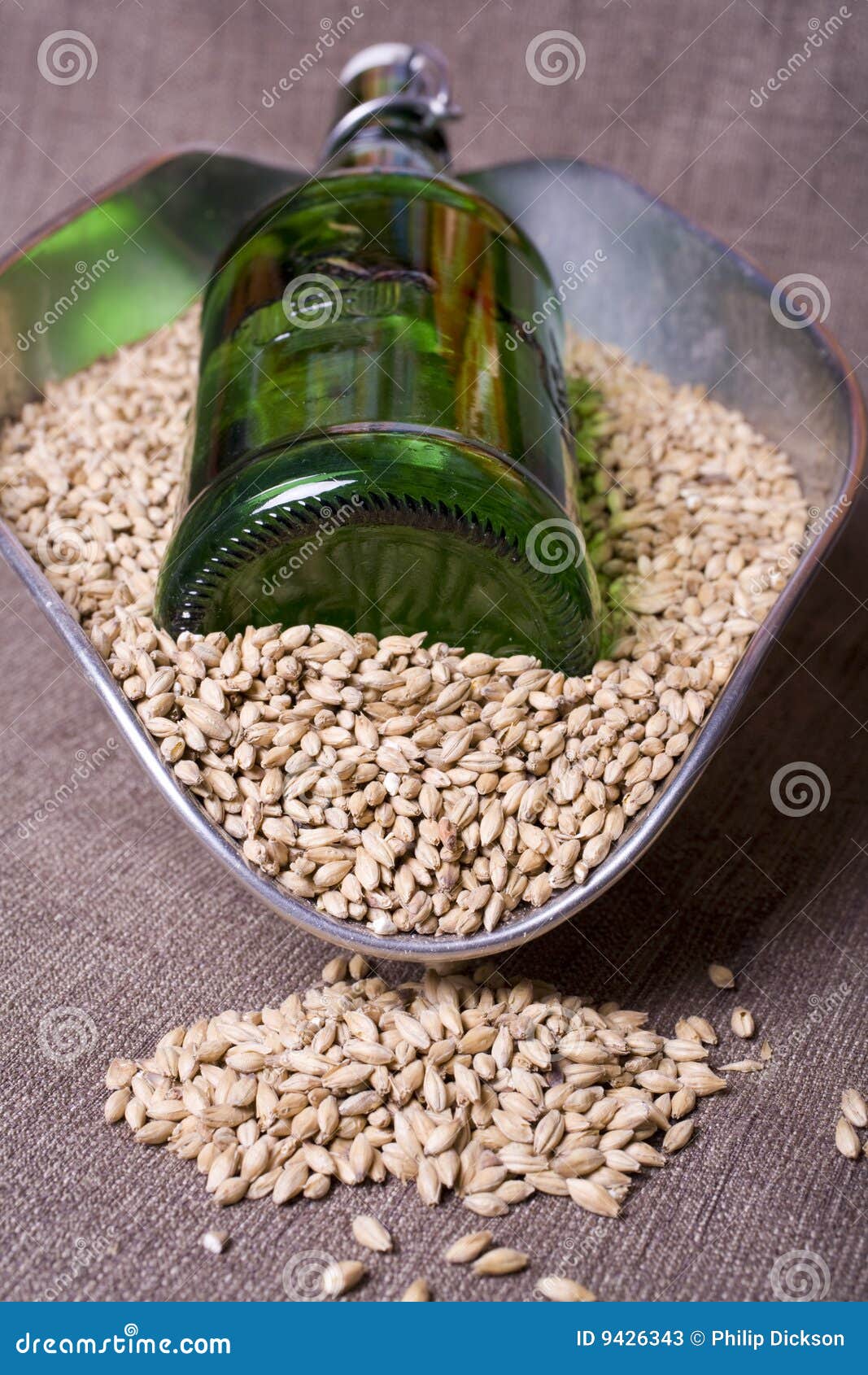 Pale Malt and Bottle stock image. Image of malted, alcohol - 9426343