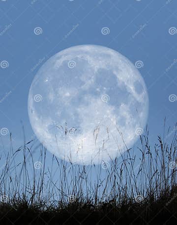 Pale moon stock illustration. Illustration of fantasy - 3220681