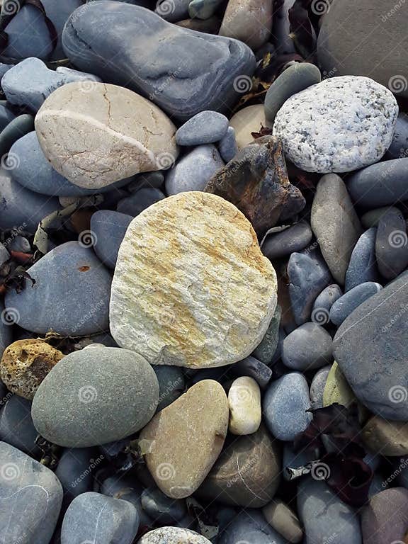 Pale Stone on the Beach stock image. Image of pebble - 94870075
