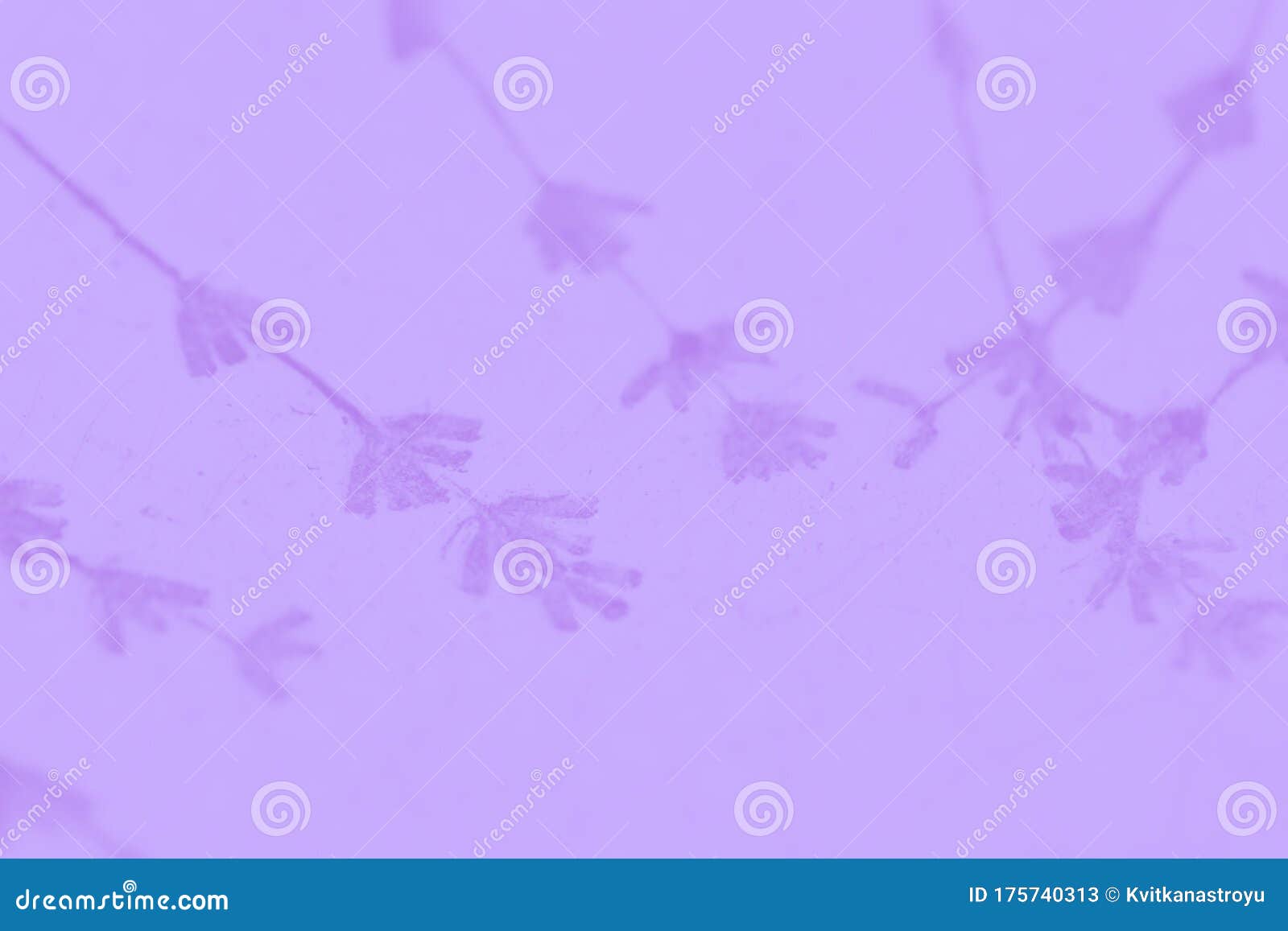 Pale Violet Purple Background with Lavender Flowers Pattern Stock Image ...