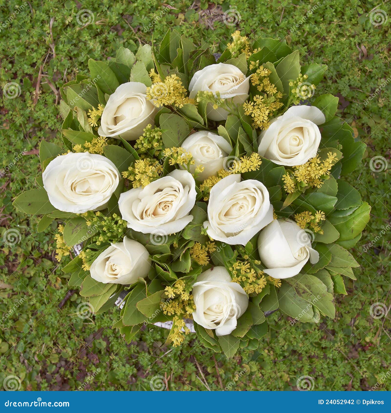 Pale White Roses, Natural Background Stock Photo - Image of natural ...