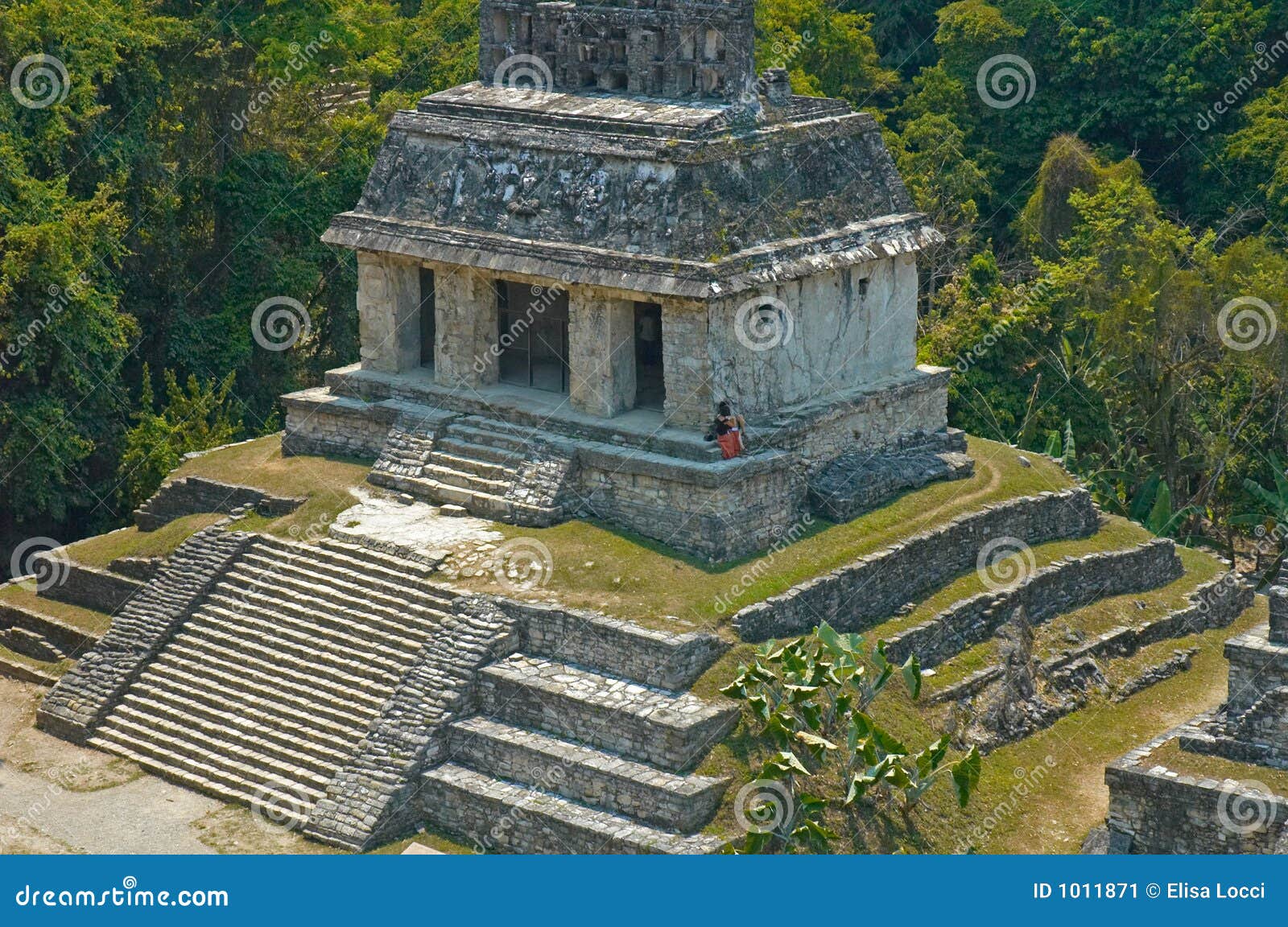 Palenque stock image. Image of central, palenque, mexico - 1011871