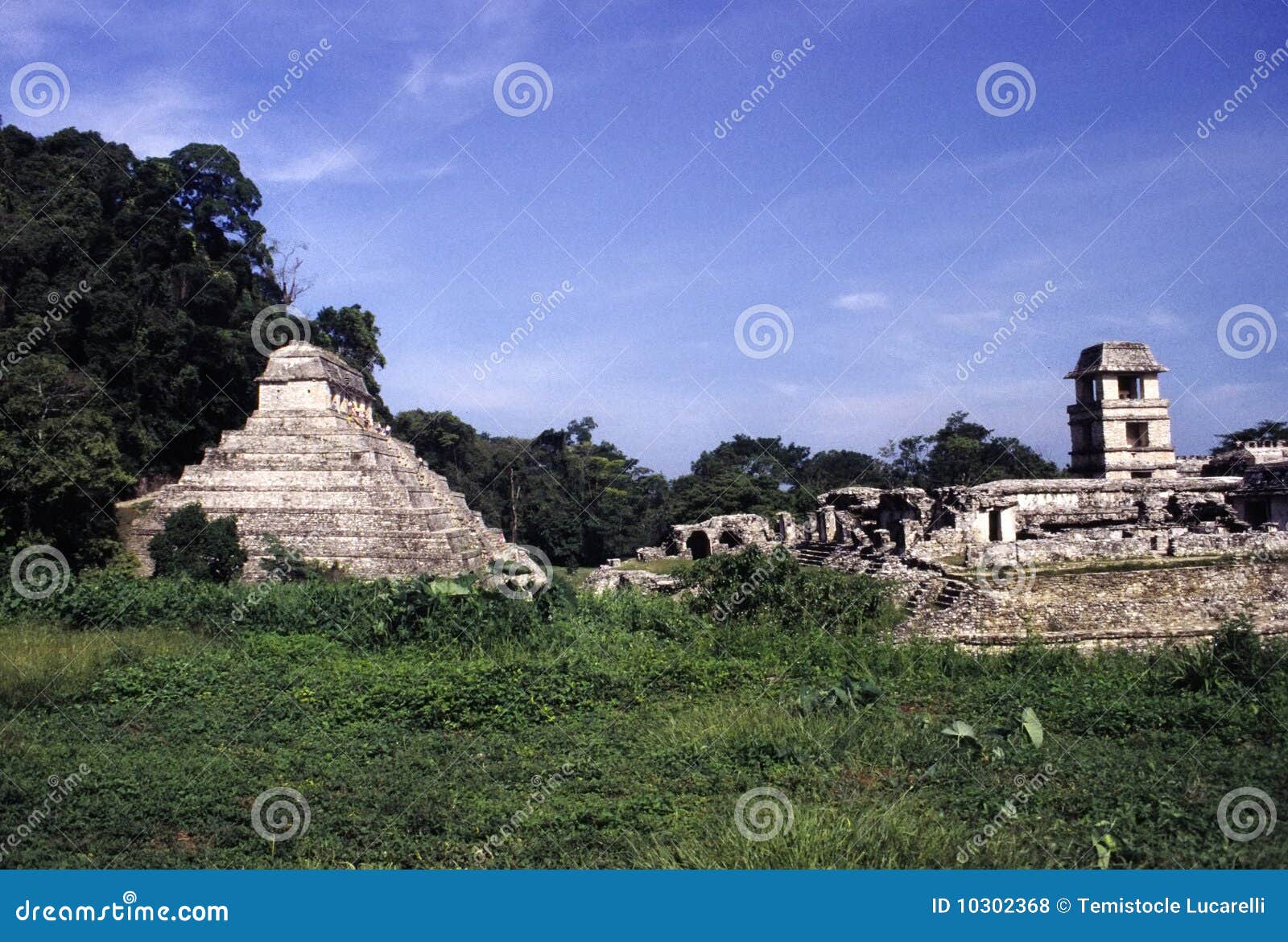 Palenque stock photo. Image of maya, mexico, ancient - 10302368
